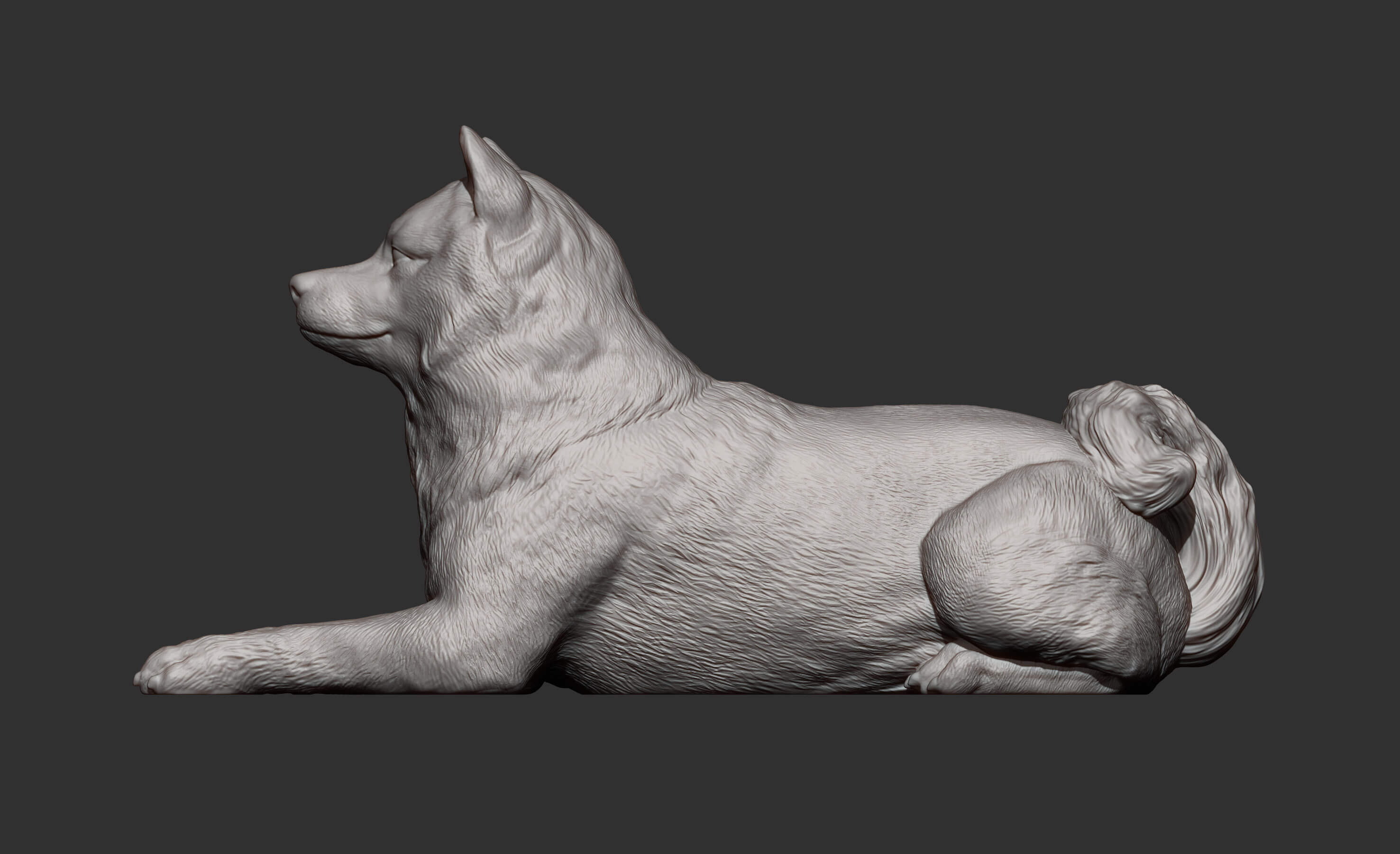 Shiba Inu 3D Print Model 3D Print Model by Alexander3dart