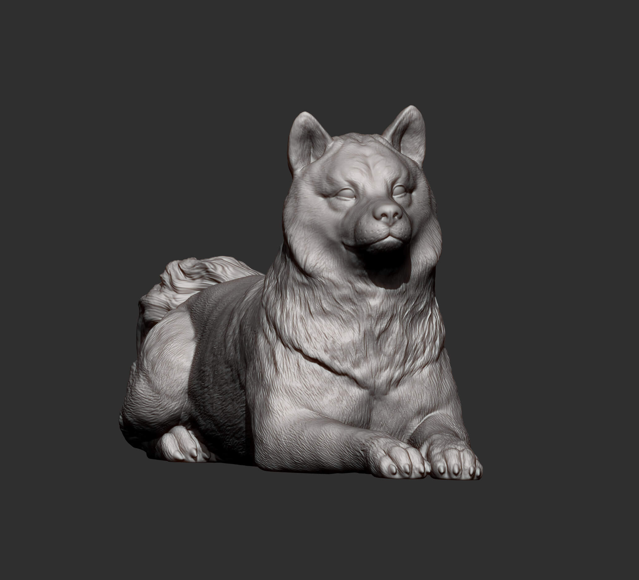 Shiba Inu 3D Print Model 3D Print Model by Alexander3dart