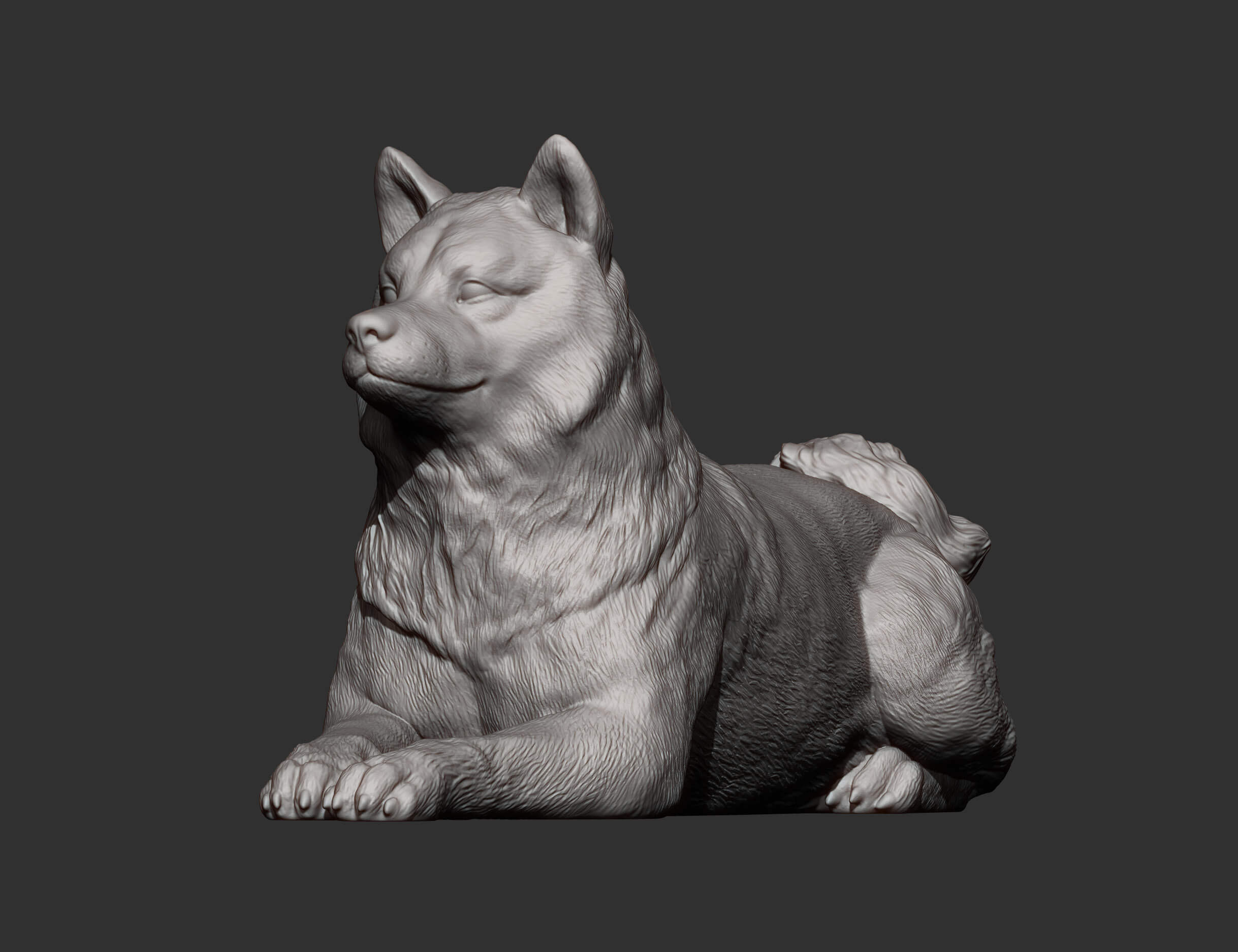Shiba Inu 3D Print Model 3D Print Model by Alexander3dart