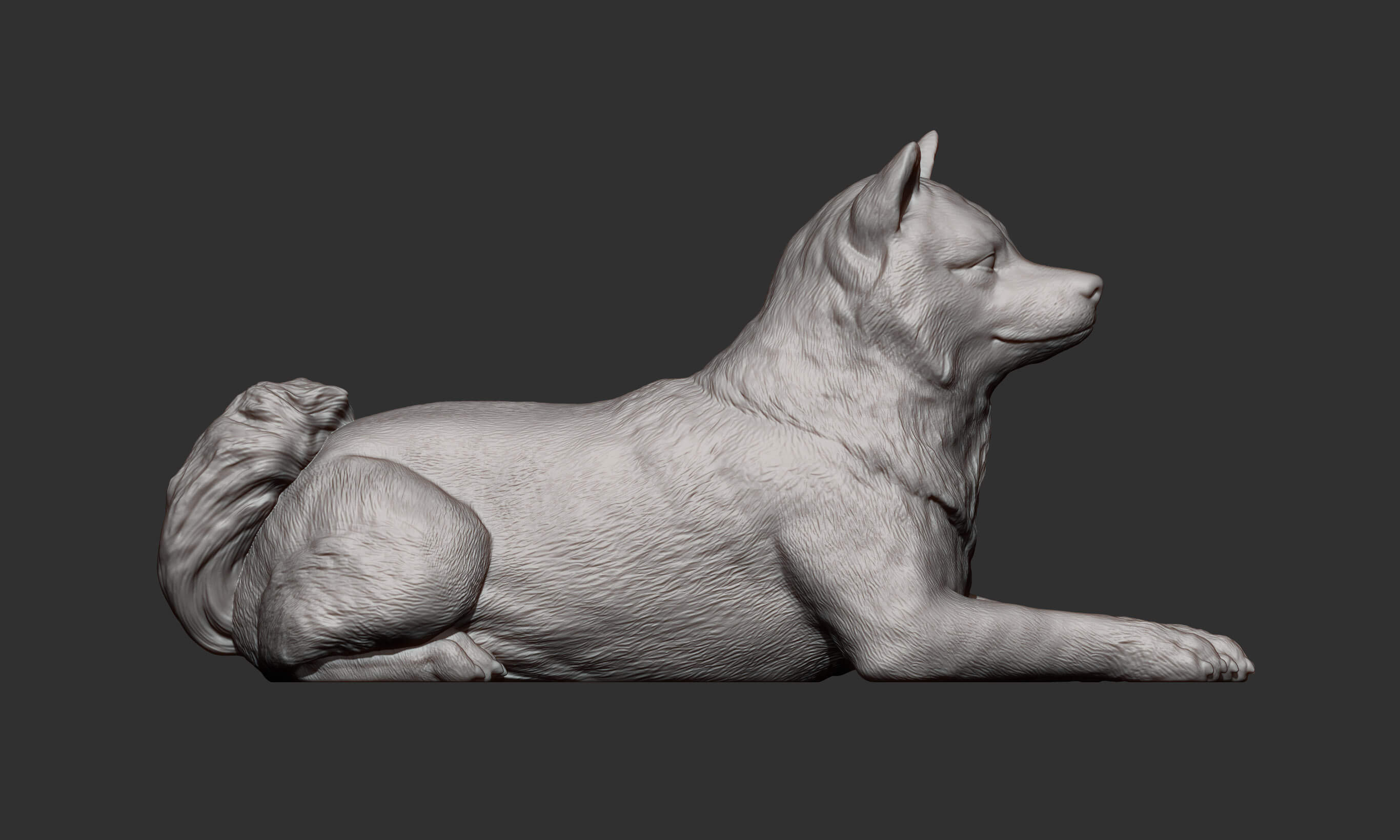 Shiba Inu 3D Print Model 3D Print Model by Alexander3dart