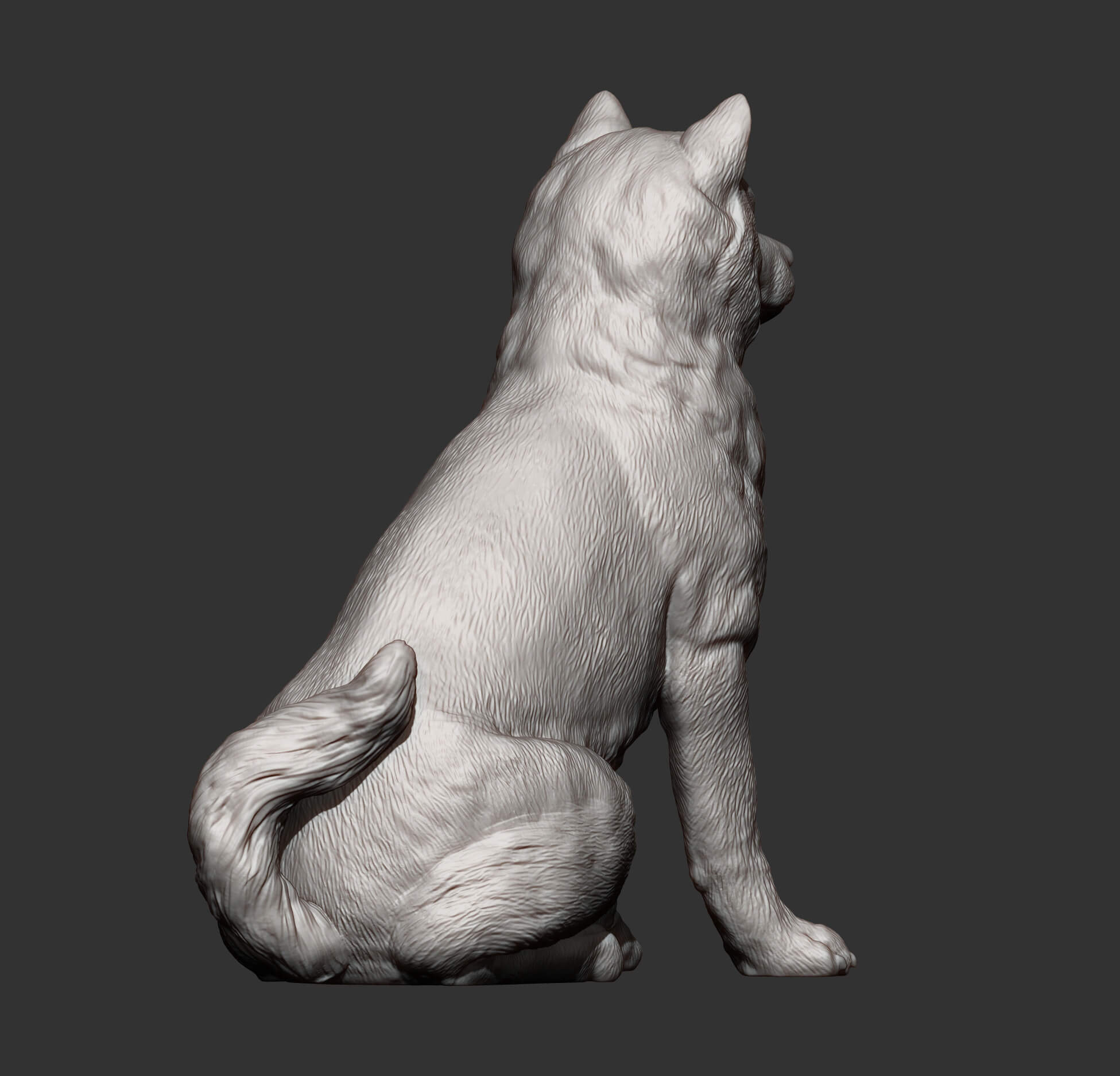 Shiba Inu 3D Print Model by Alexander3dart