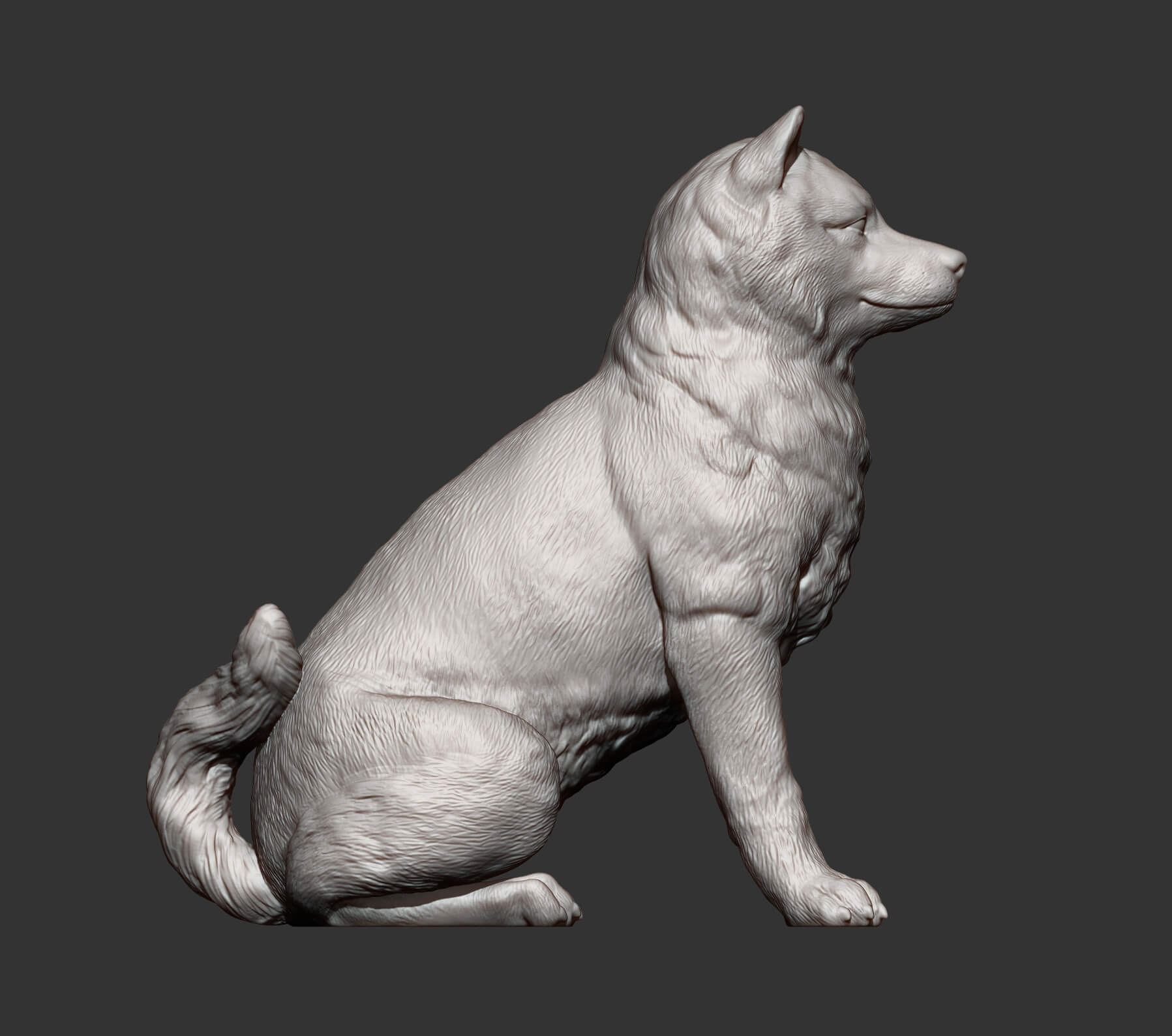 Shiba Inu 3D Print Model by Alexander3dart