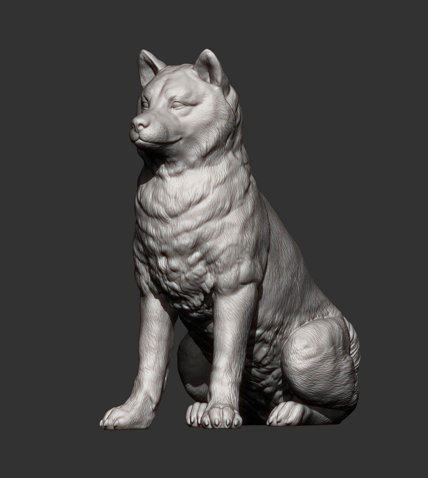 Shiba Inu 3D Print Model by Alexander3dart