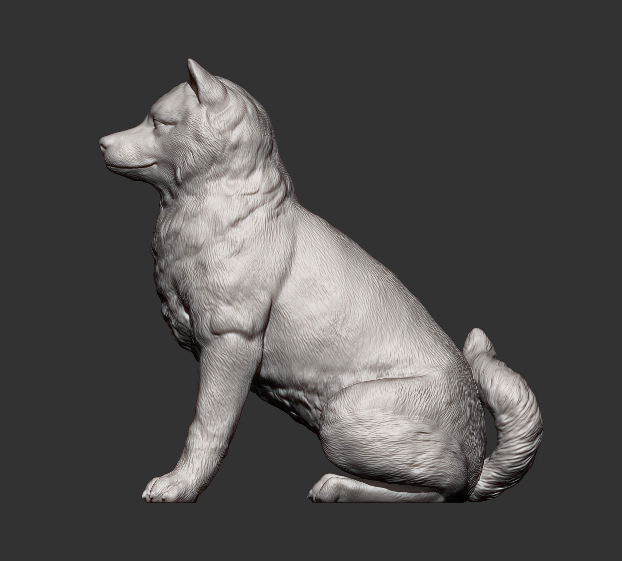 Shiba Inu 3D Print Model by Alexander3dart