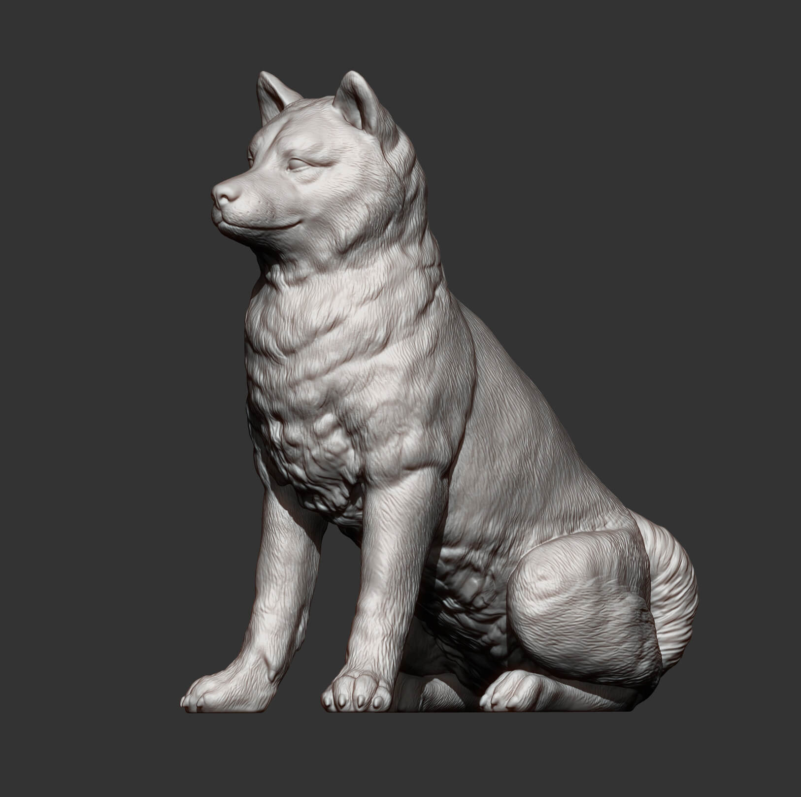Shiba Inu 3D Print Model by Alexander3dart