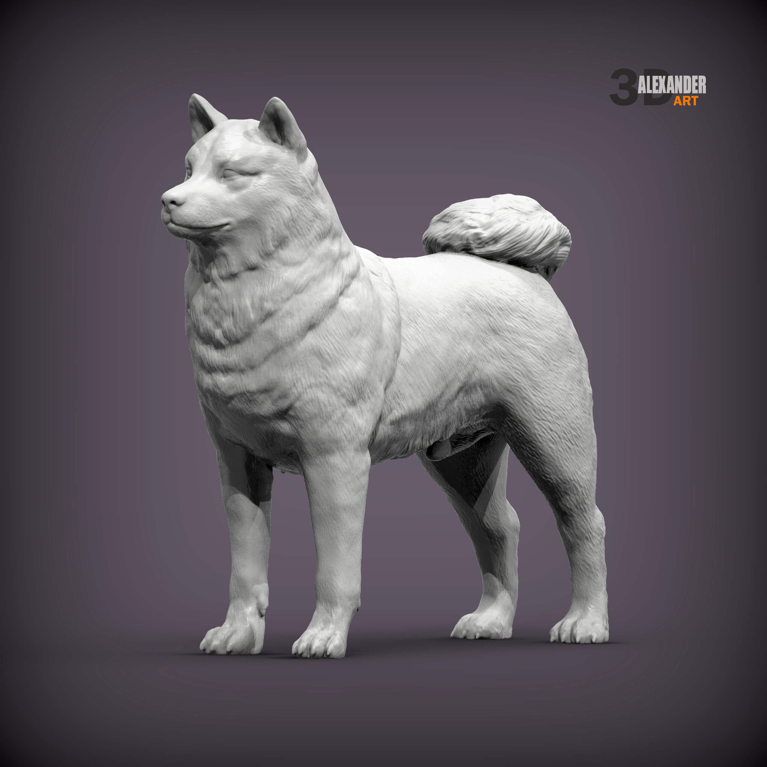 Shiba Inu Standing - 3D Model by Alexander3dart