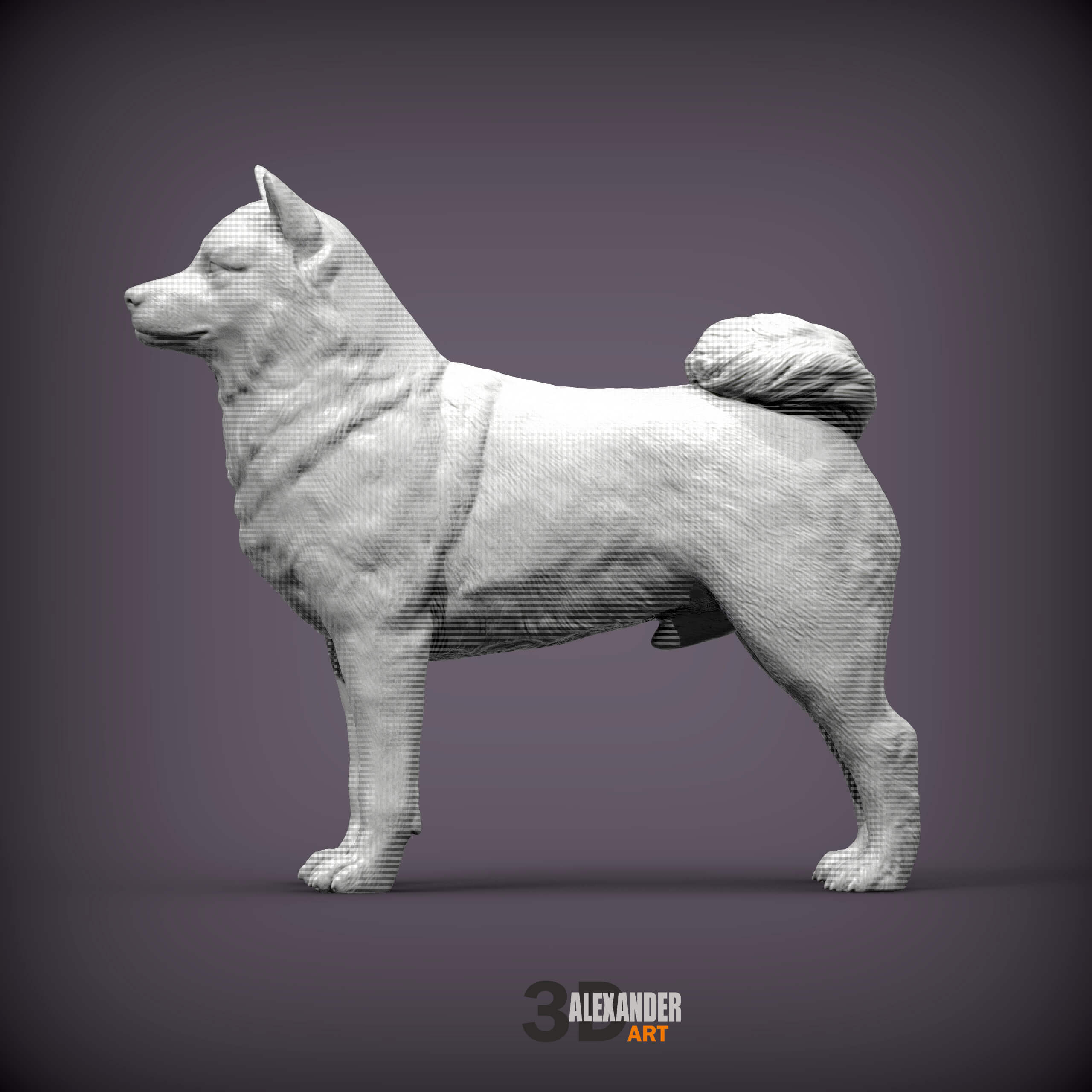 Shiba Inu Standing - 3D Model by Alexander3dart