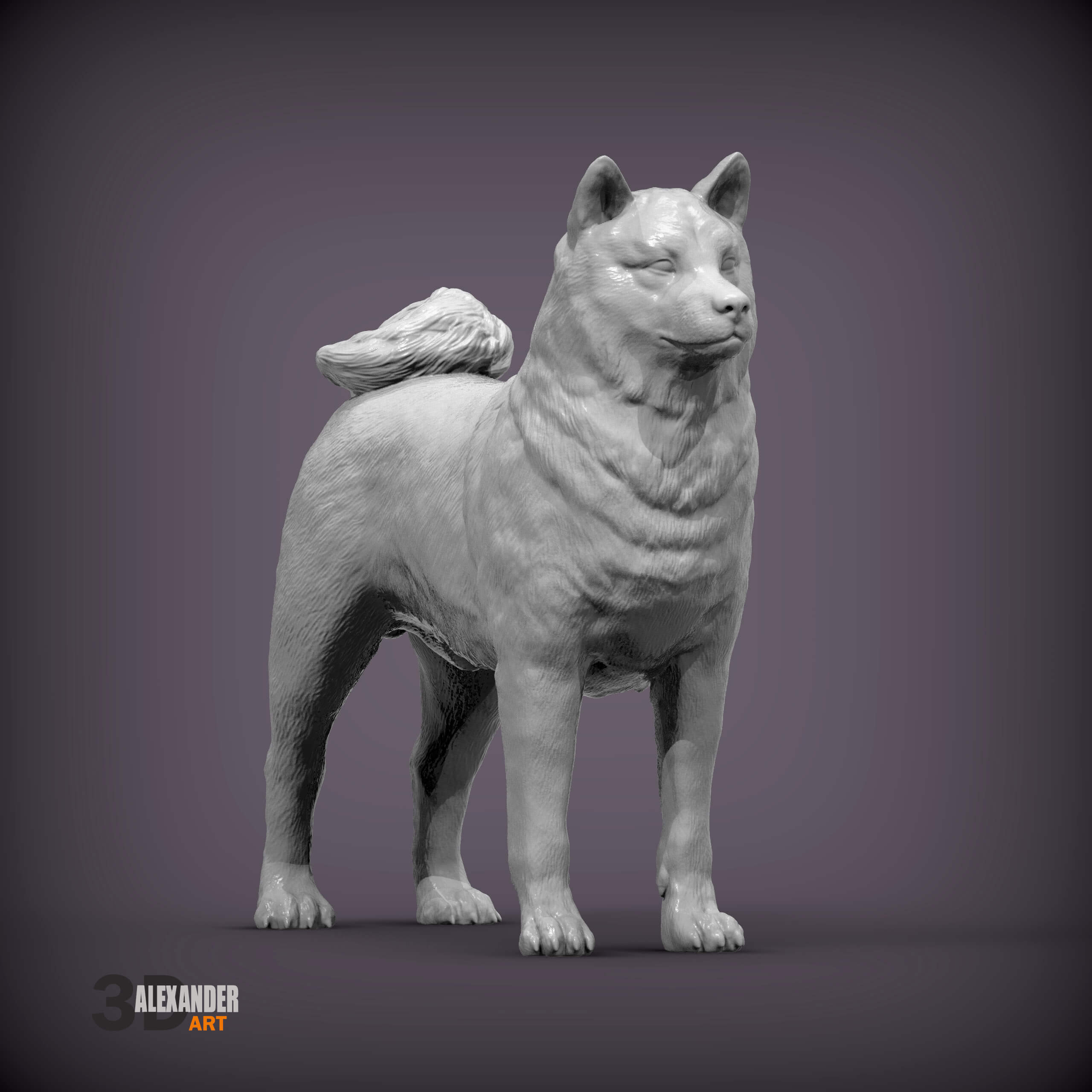 Shiba Inu Standing - 3D Model by Alexander3dart