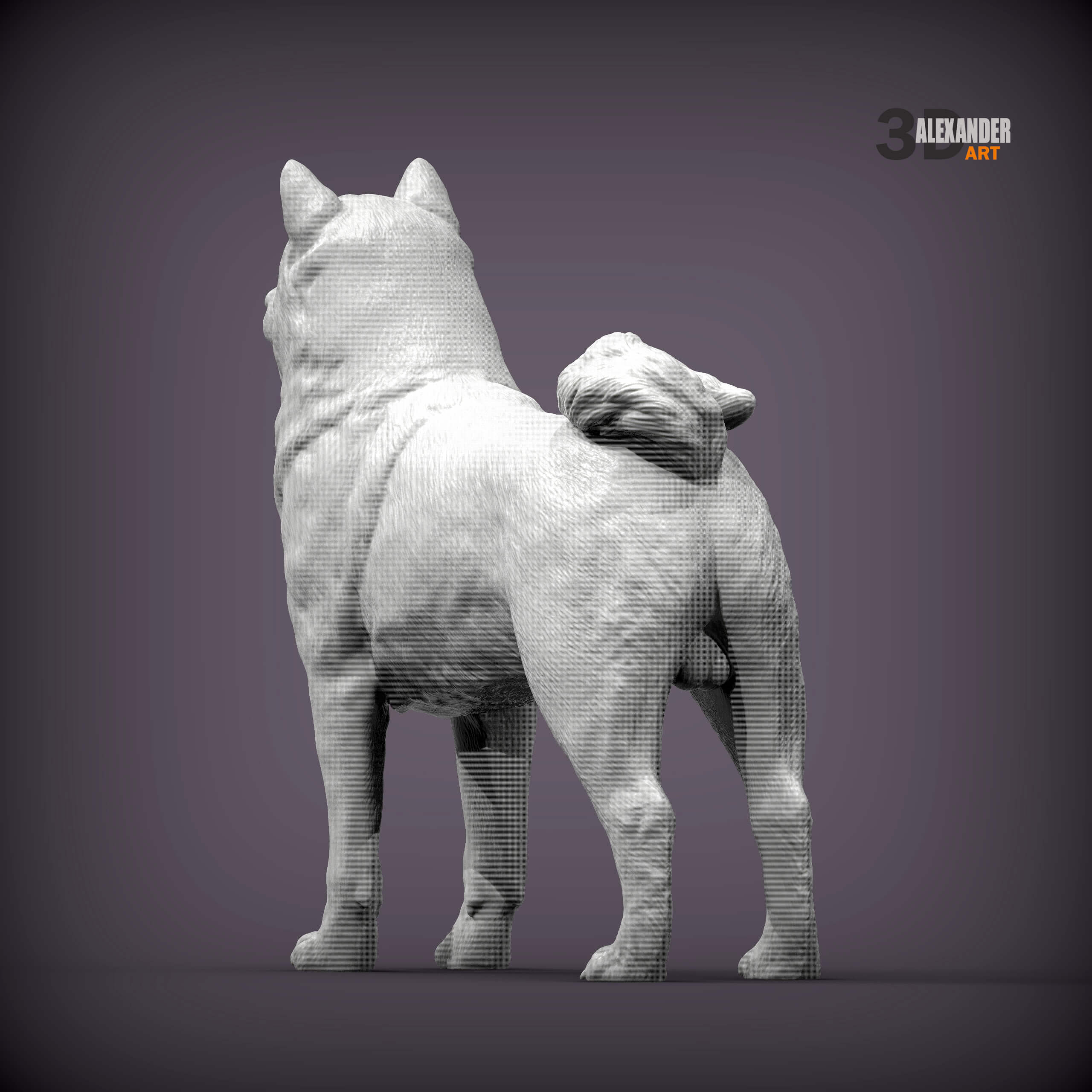 Shiba Inu Standing - 3D Model by Alexander3dart