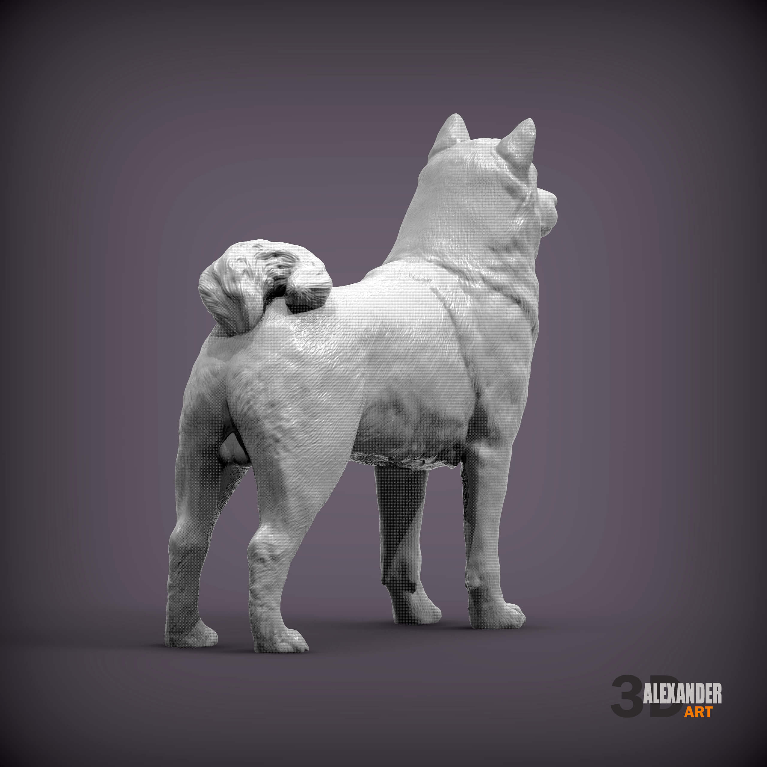 Shiba Inu Standing - 3D Model by Alexander3dart