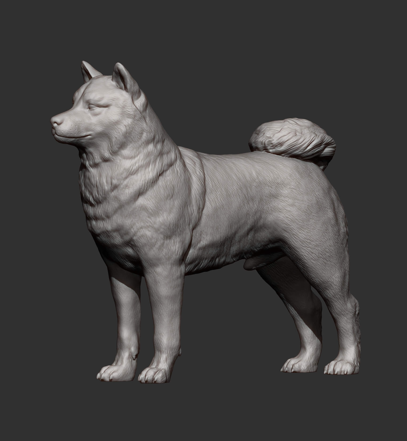 Shiba Inu Standing - 3D Model by Alexander3dart