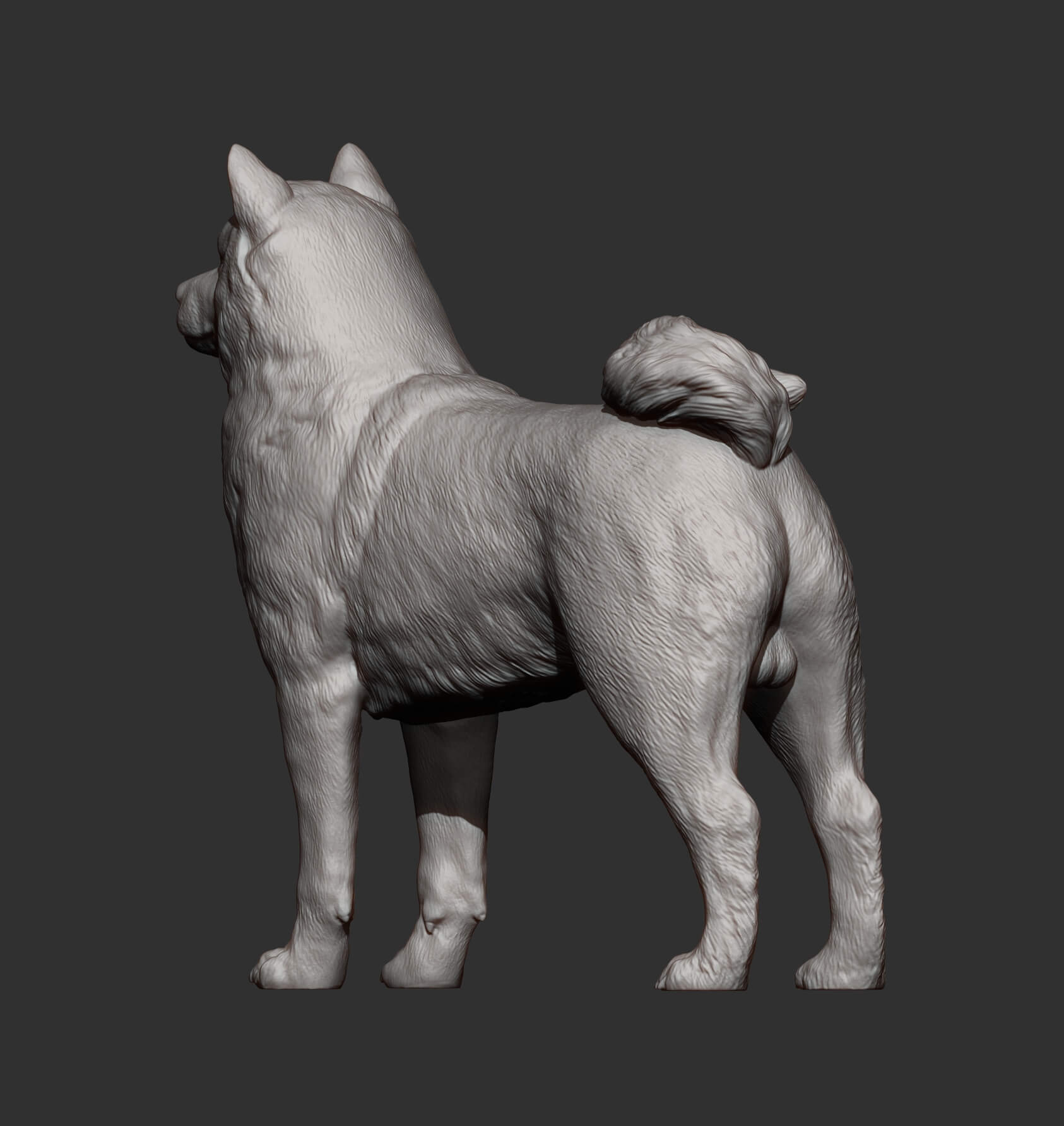 Shiba Inu Standing - 3D Model by Alexander3dart