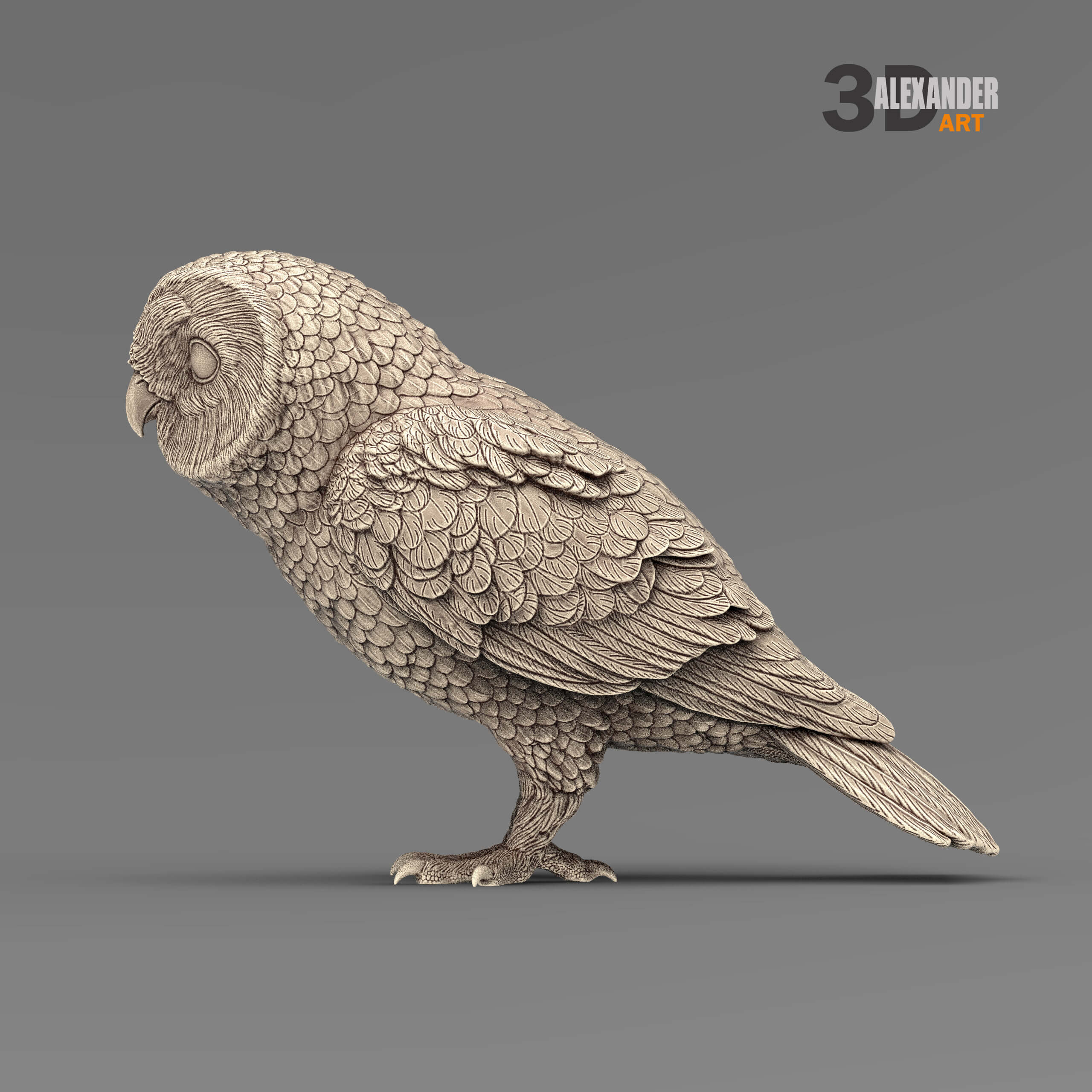 Short-Eared Owl 3D Model by Alexander3dart