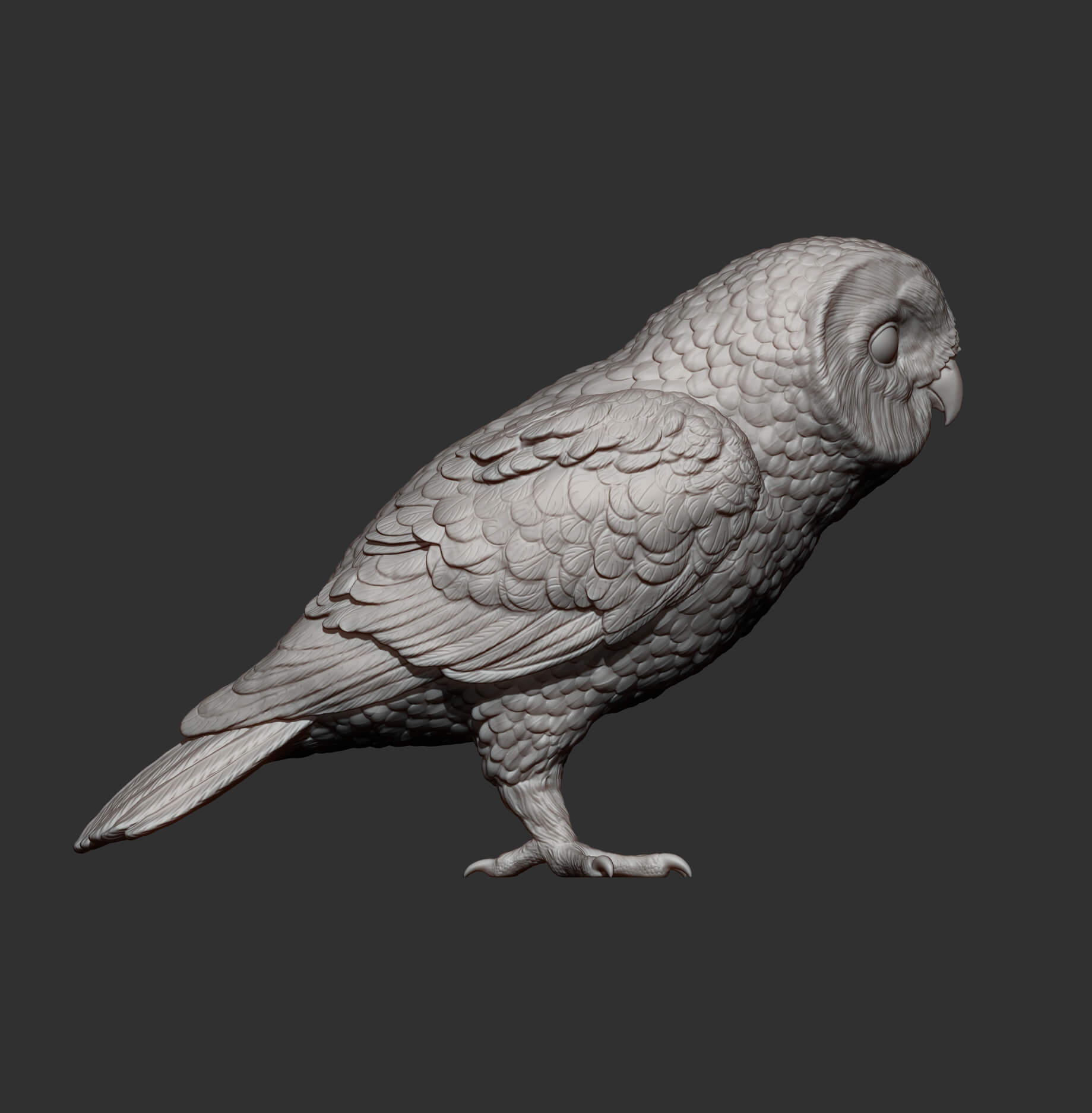 Short-Eared Owl 3D Model by Alexander3dart