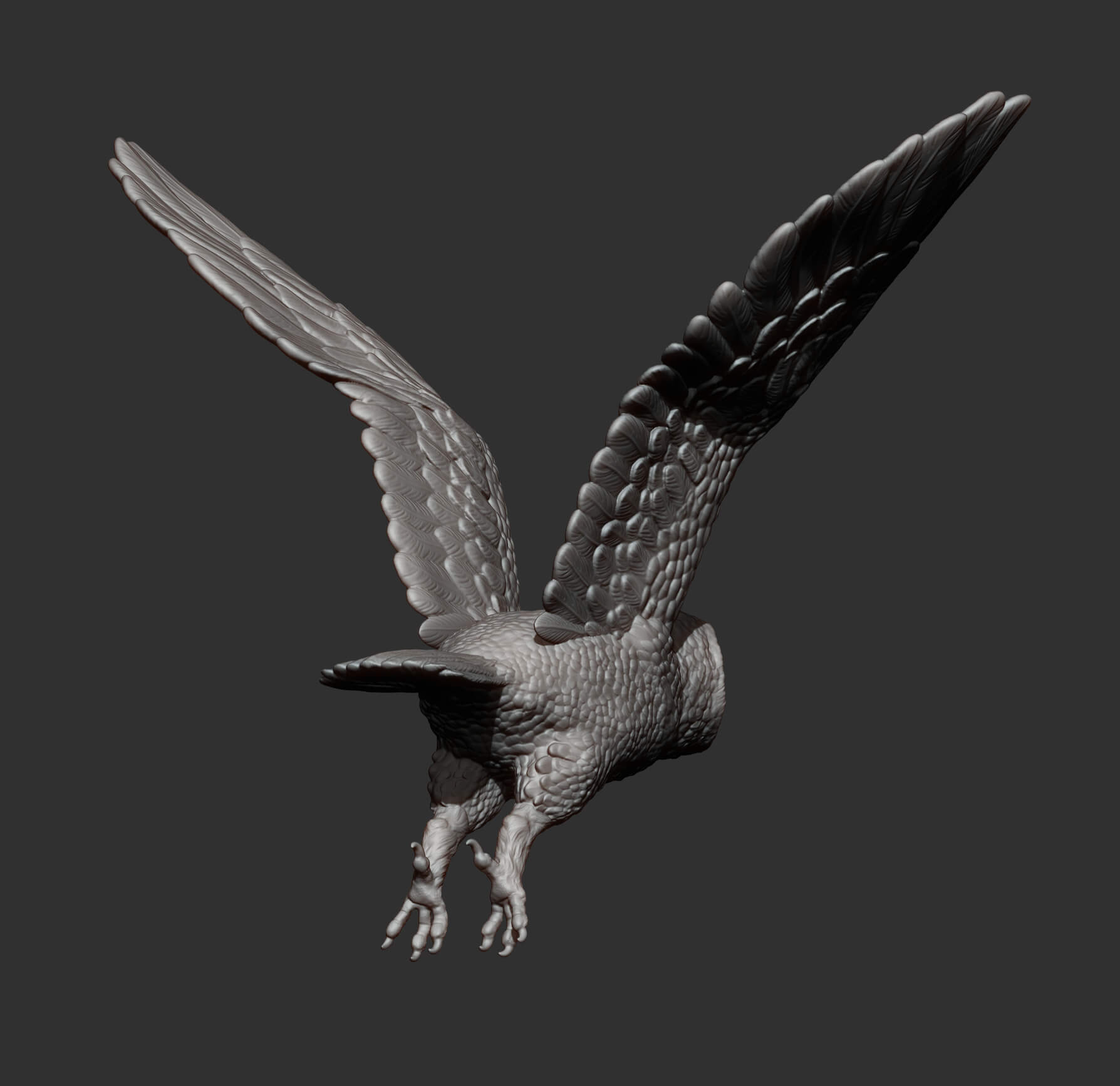 Short-Eared Owl Takes Flight 3D Model by Alexander3dart