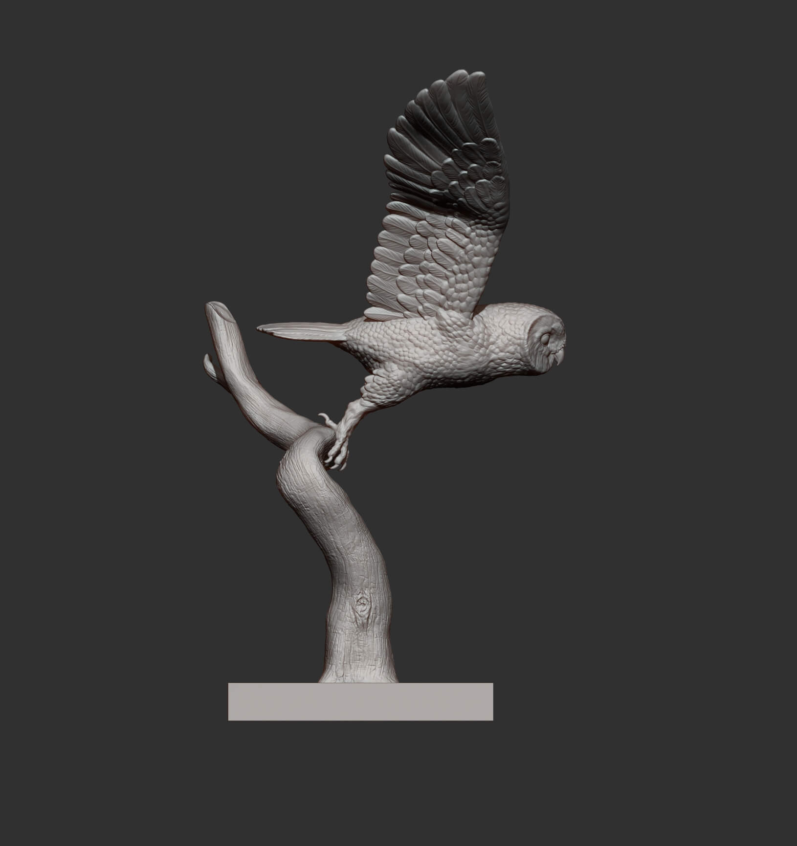 Short-Eared Owl Takes Flight 3D Model by Alexander3dart
