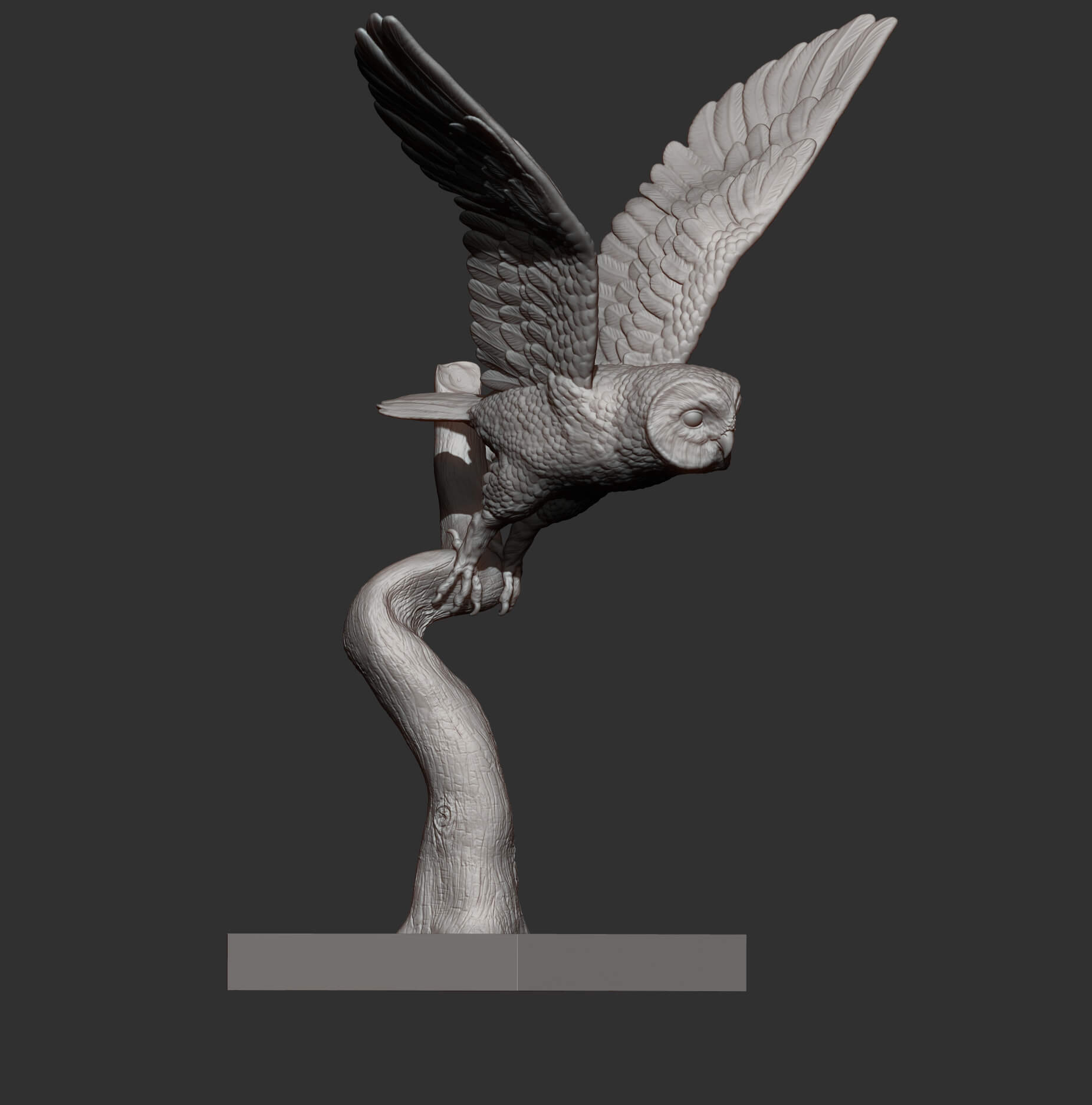 Short-Eared Owl Takes Flight 3D Model by Alexander3dart