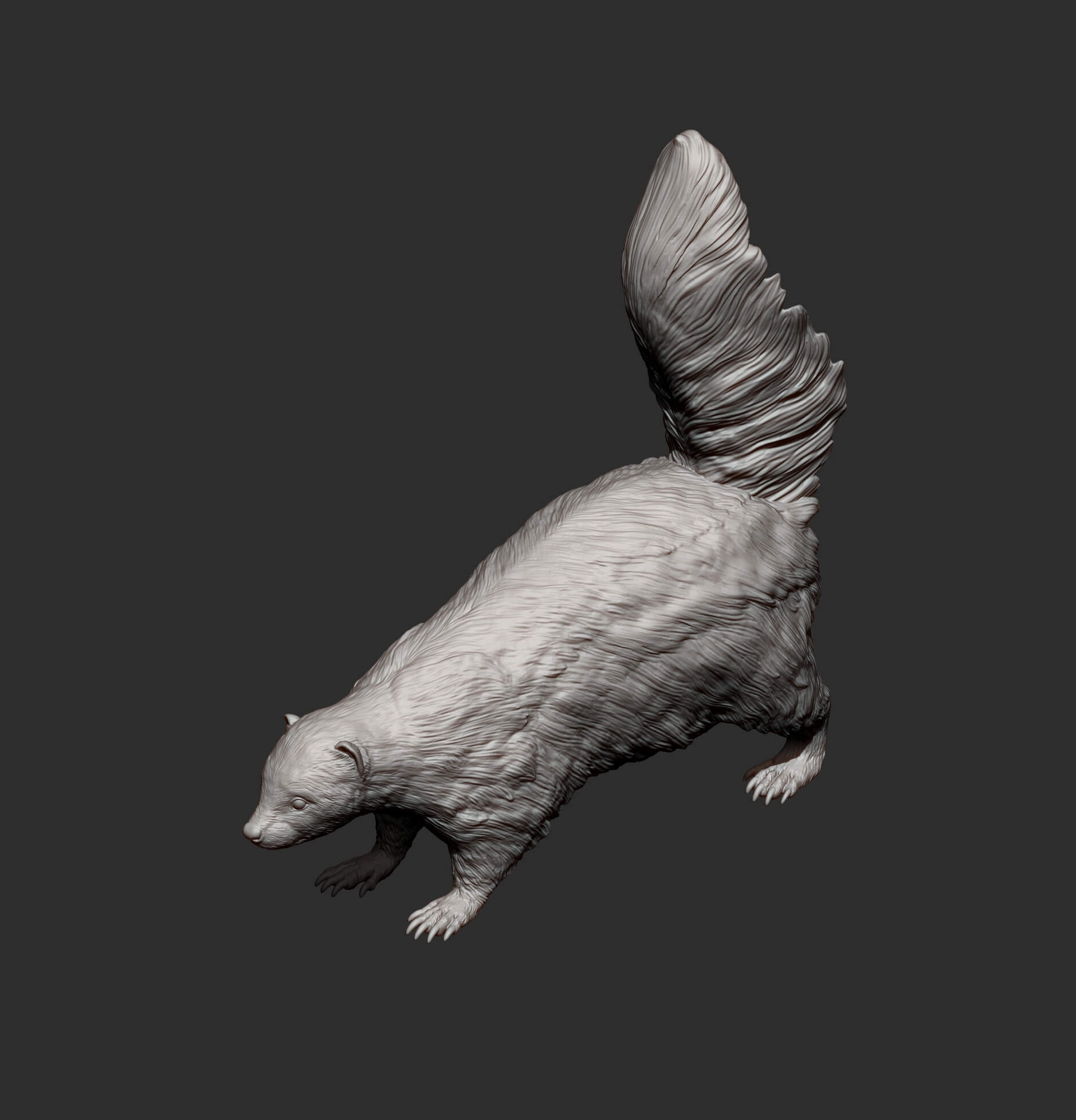 Skunk Sculpture - 3D Model by Alexander3dart