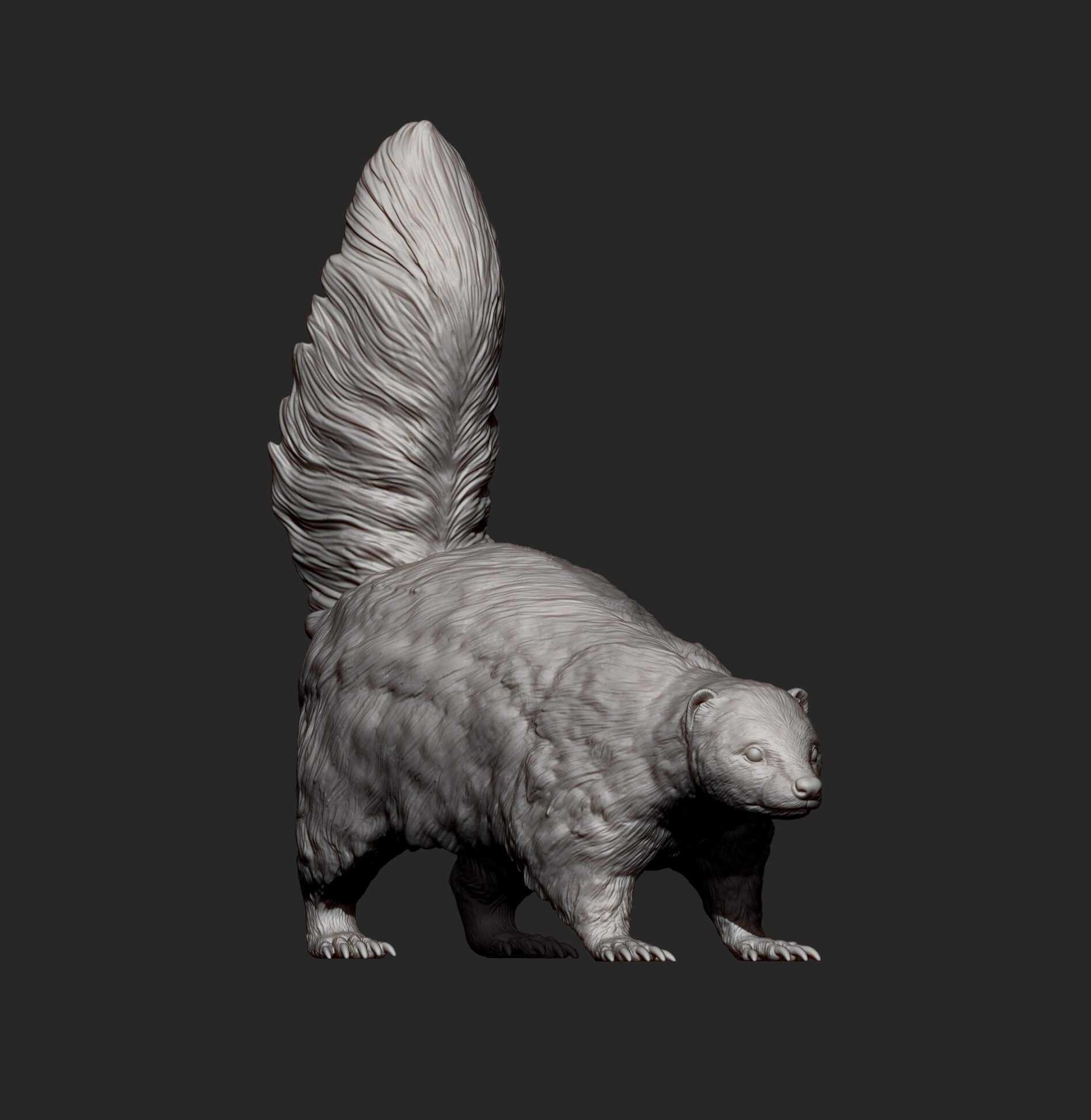 Skunk Sculpture - 3D Model by Alexander3dart