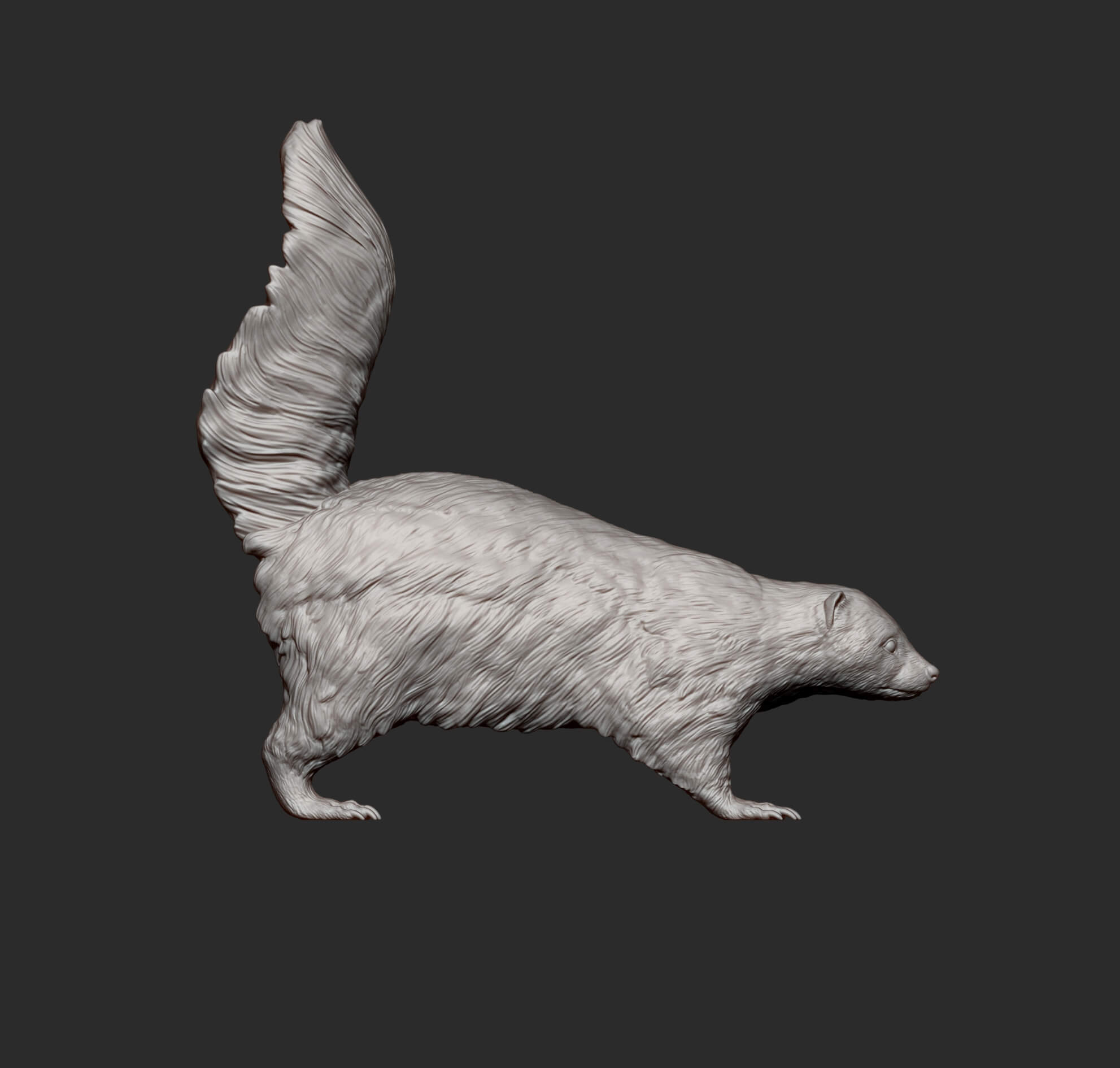 Skunk Sculpture - 3D Model by Alexander3dart