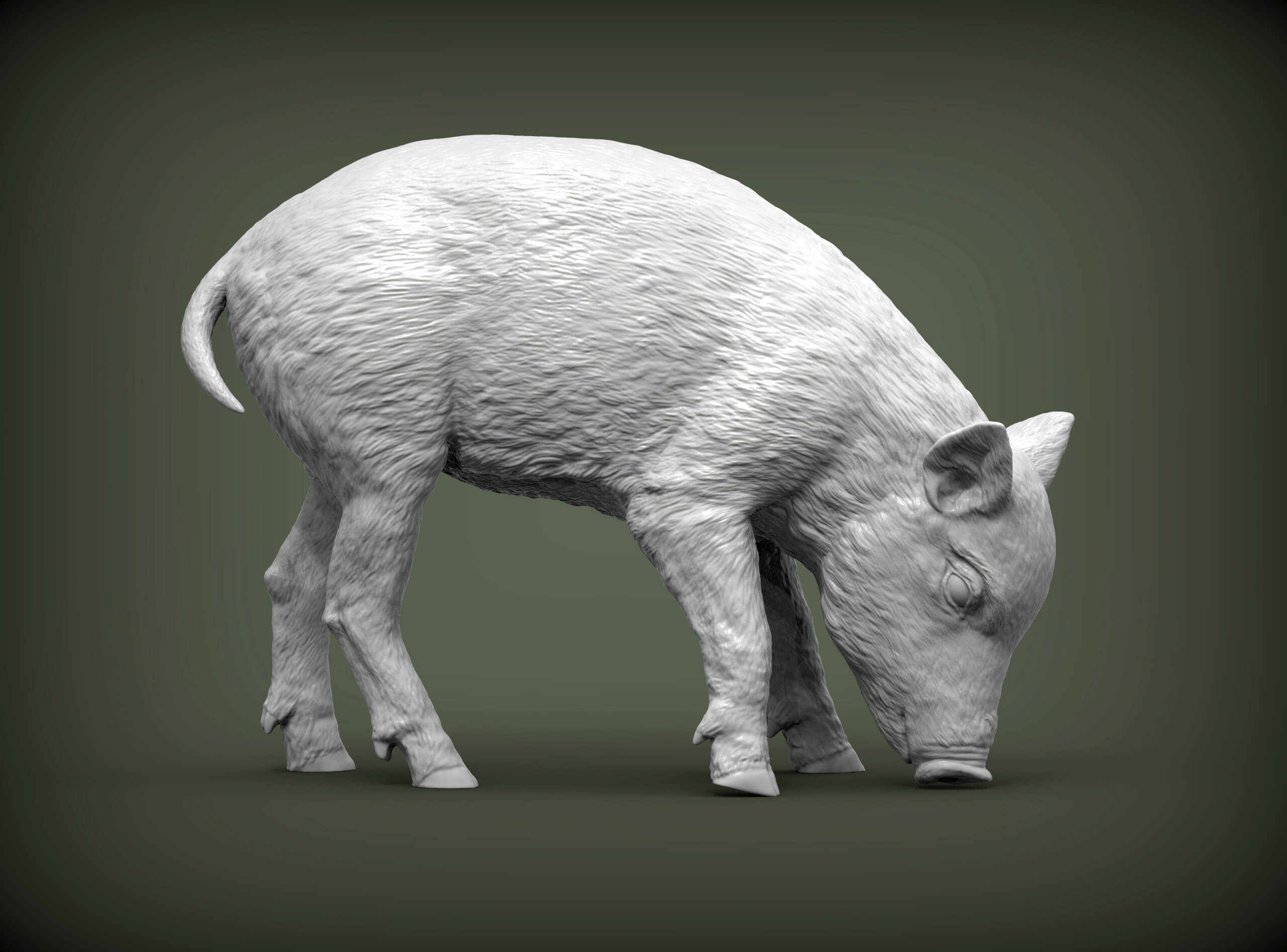 Small Wild Boar - 3D Model by Alexander3dart