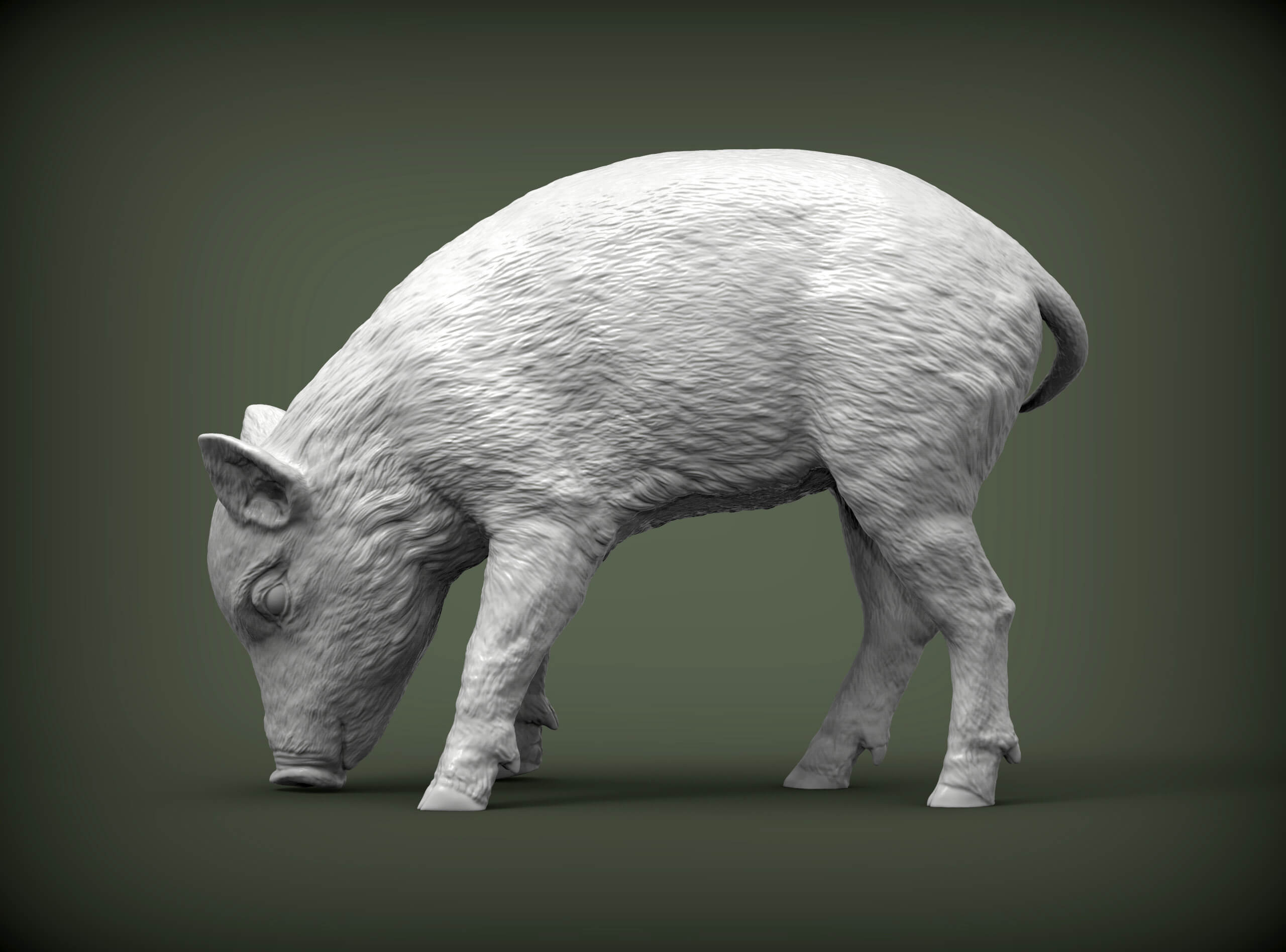 Small Wild Boar - 3D Model by Alexander3dart