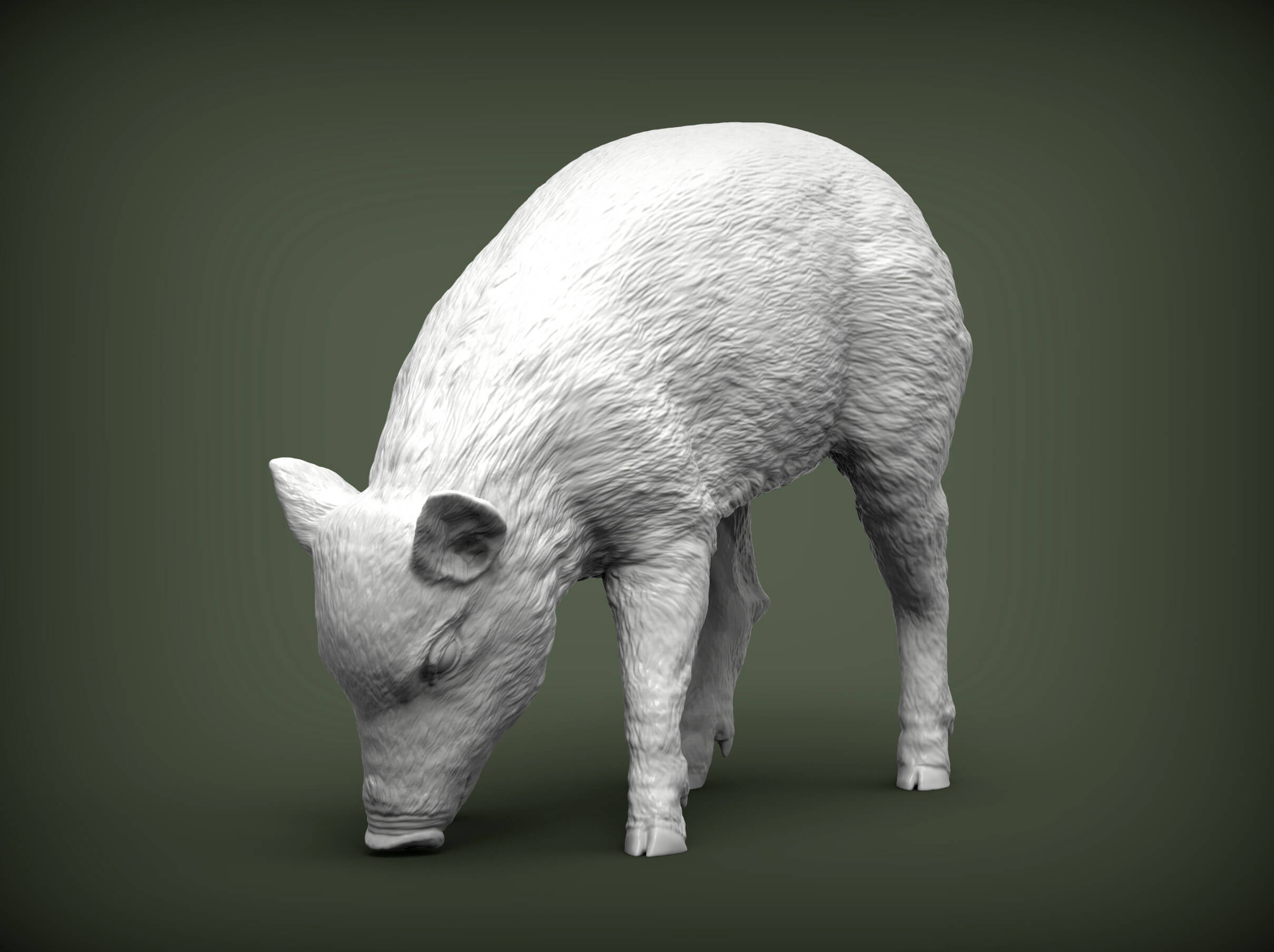 Small Wild Boar - 3D Model by Alexander3dart