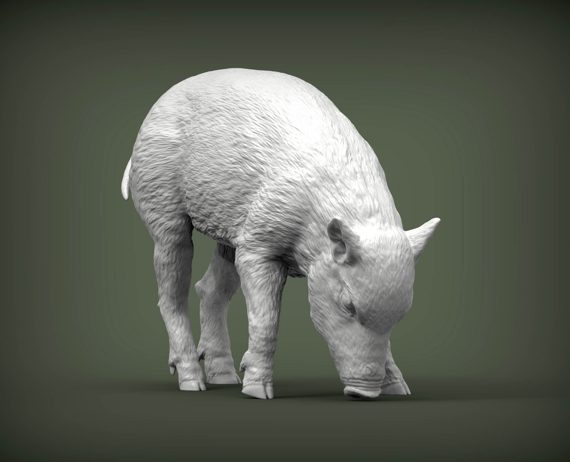 Small Wild Boar - 3D Model by Alexander3dart