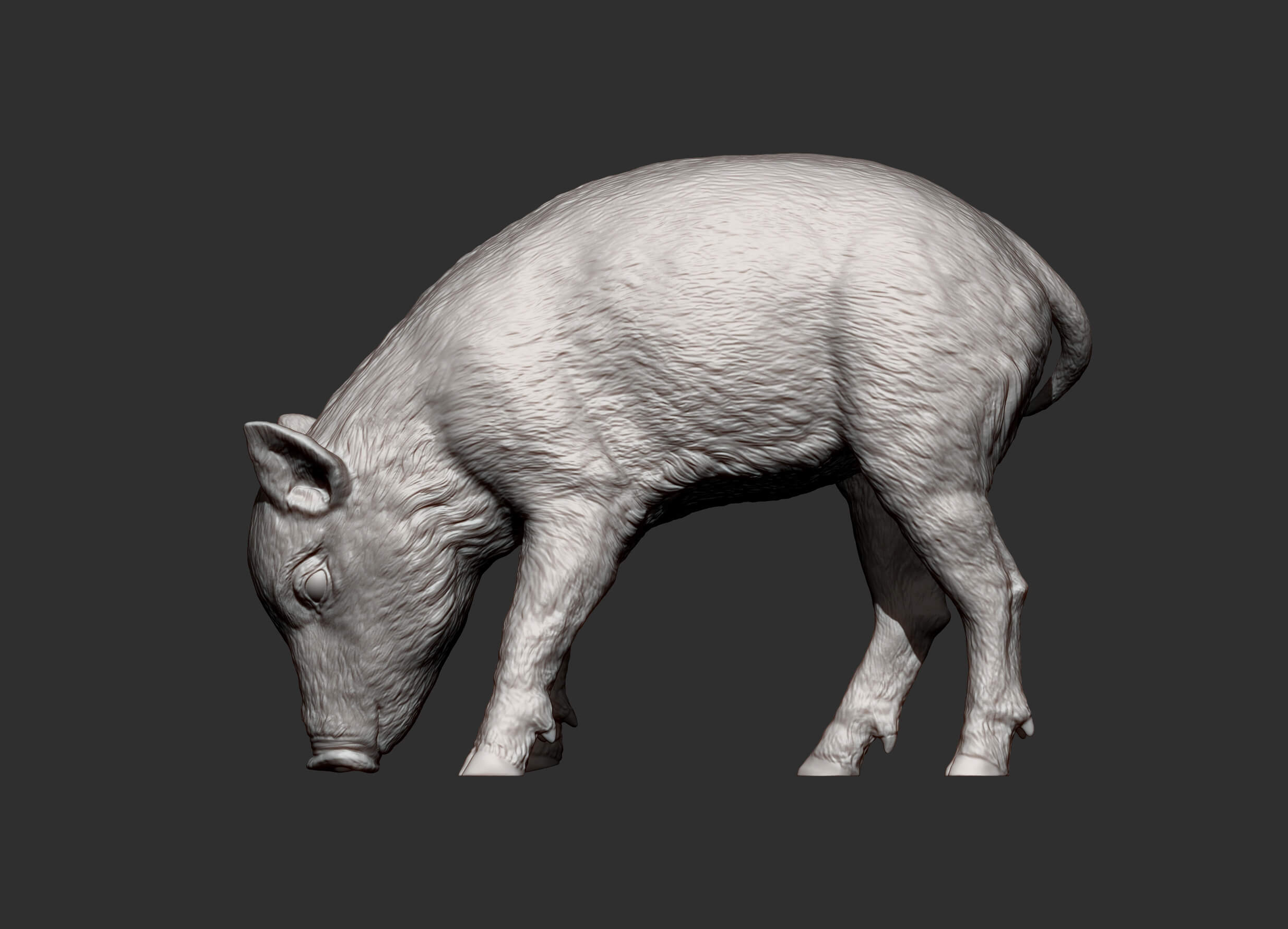 Small Wild Boar - 3D Model by Alexander3dart