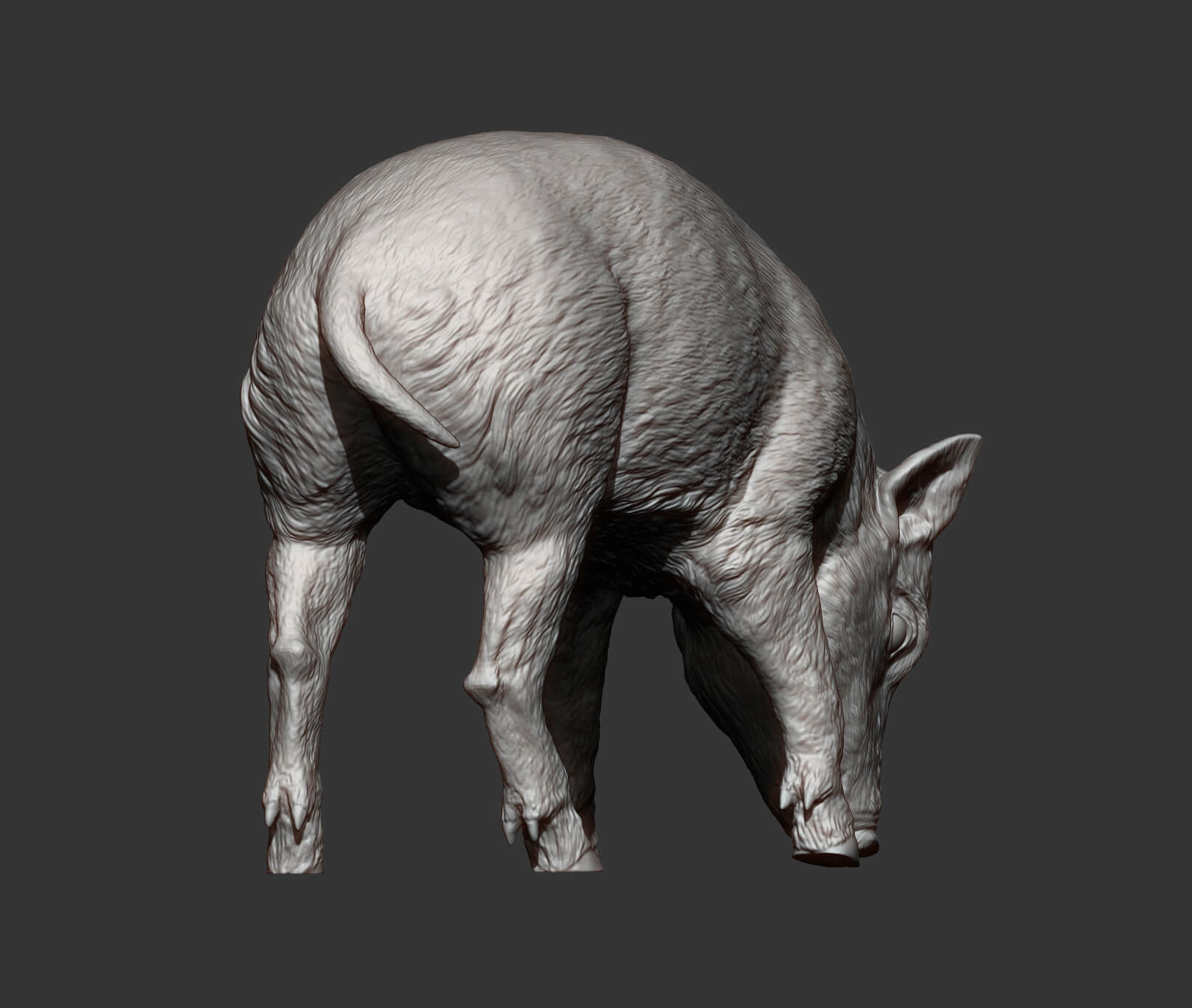 Small Wild Boar - 3D Model by Alexander3dart