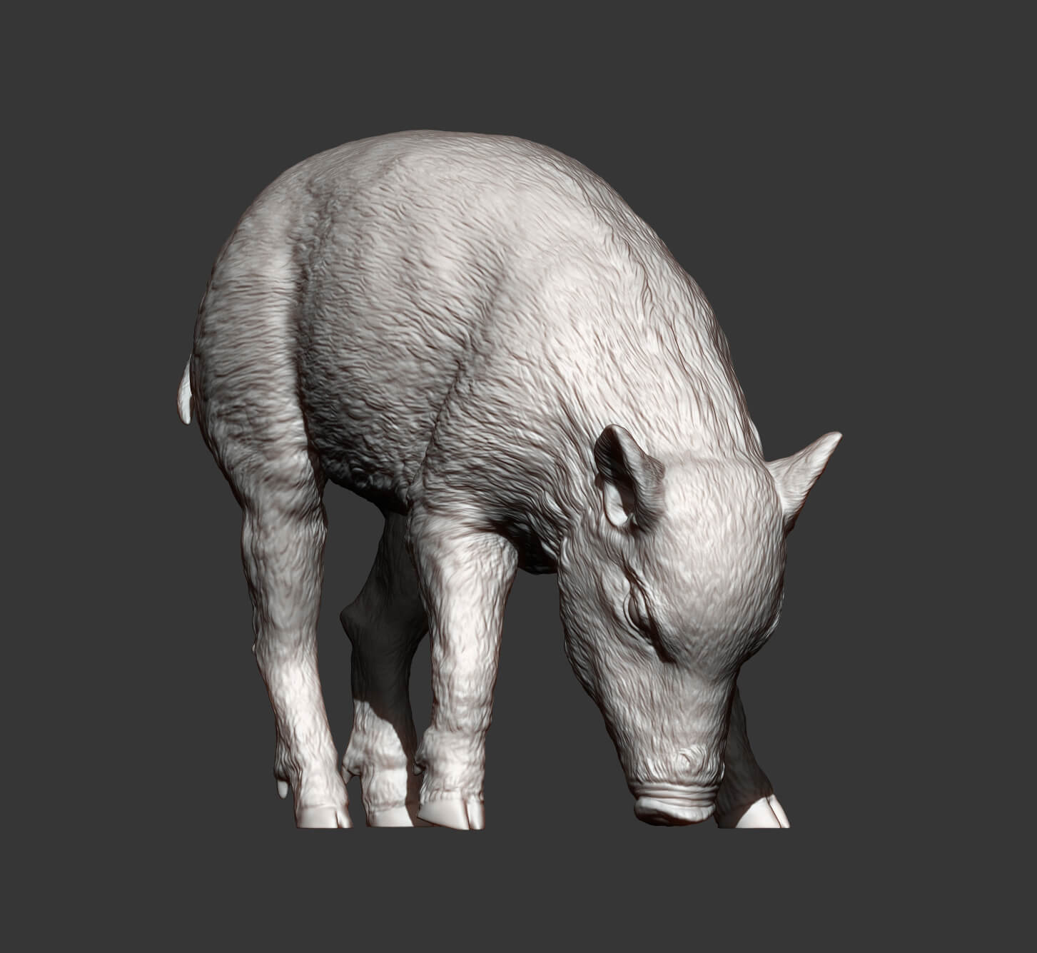 Small Wild Boar - 3D Model by Alexander3dart