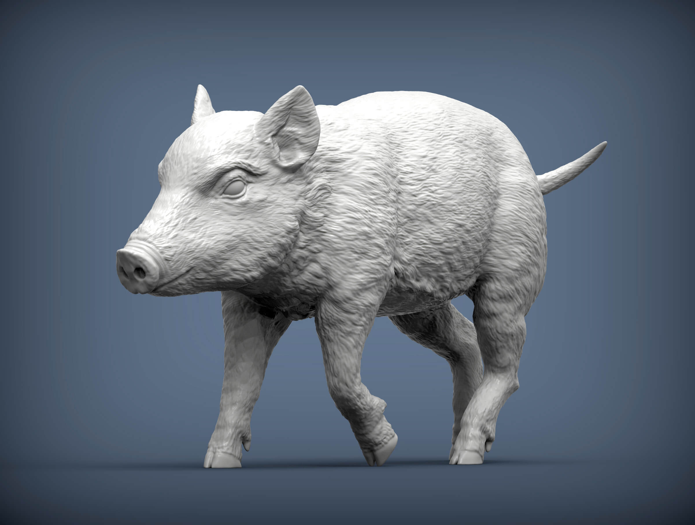 Small Wild Boar - 3D Model by Alexander3dart