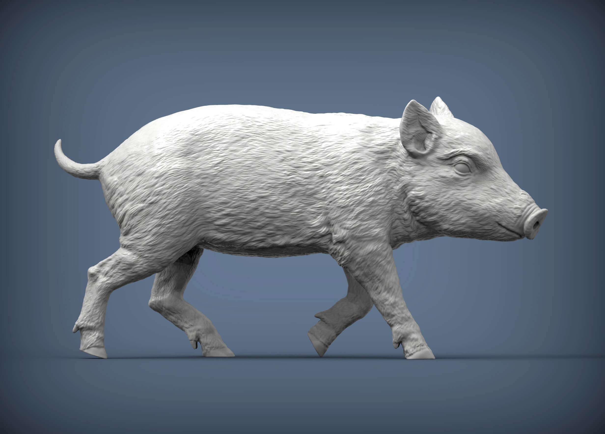Small Wild Boar - 3D Model by Alexander3dart