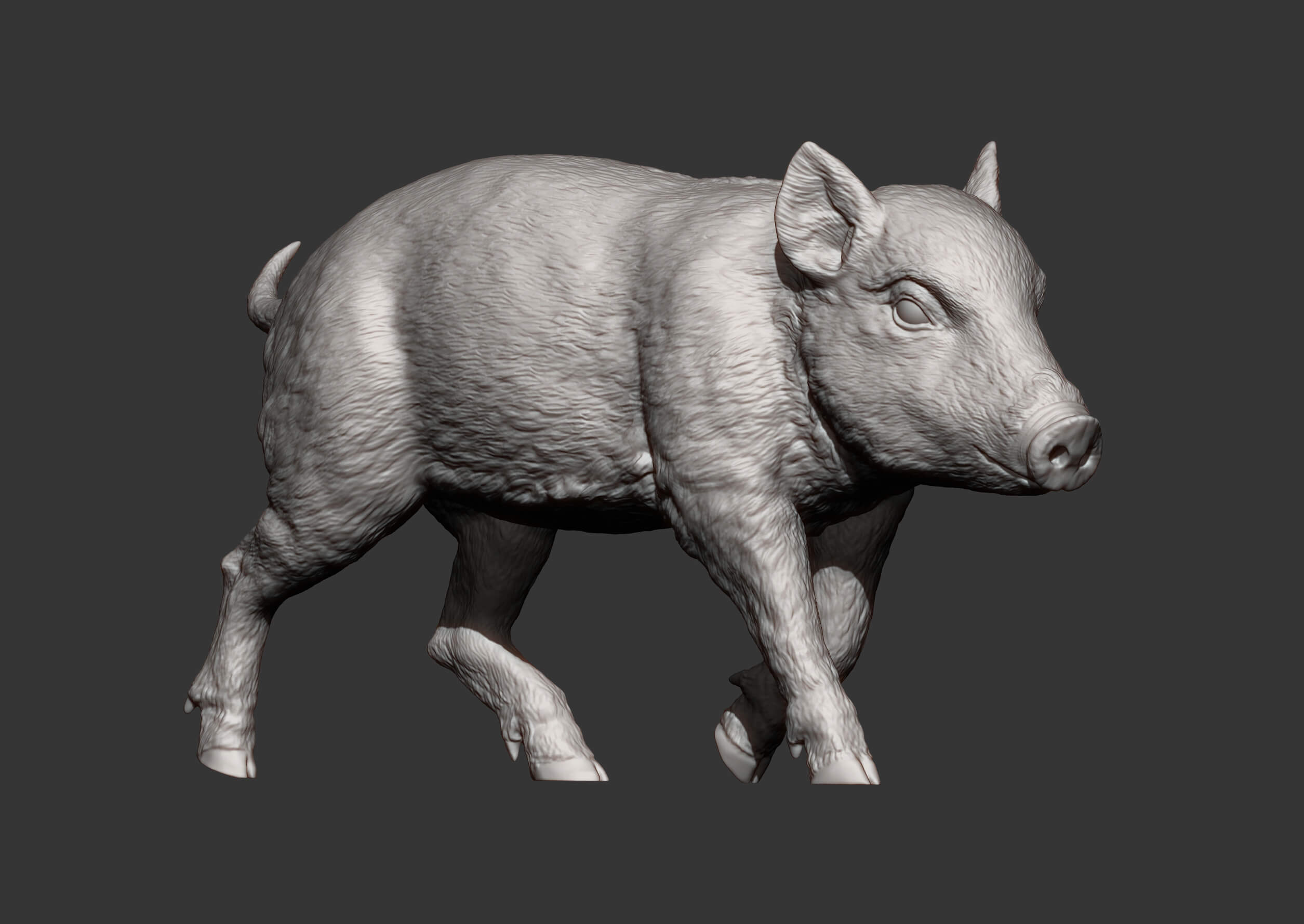 Small Wild Boar - 3D Model by Alexander3dart