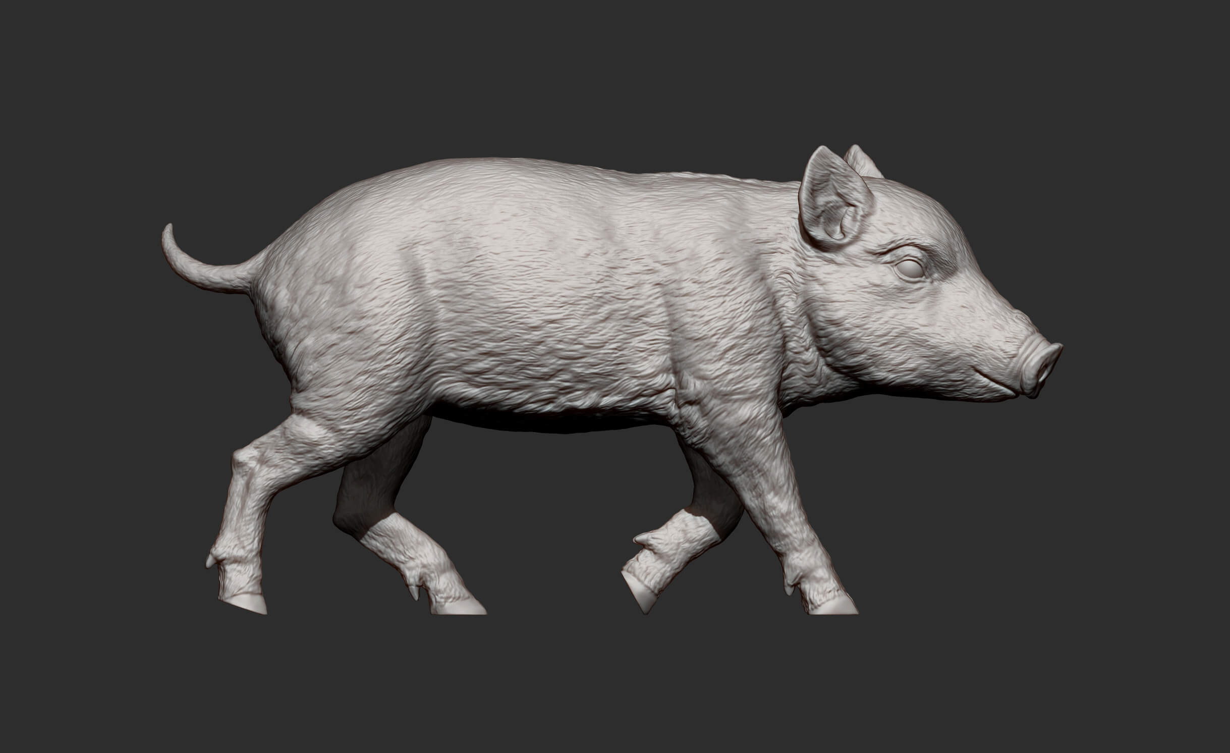 Small Wild Boar - 3D Model by Alexander3dart