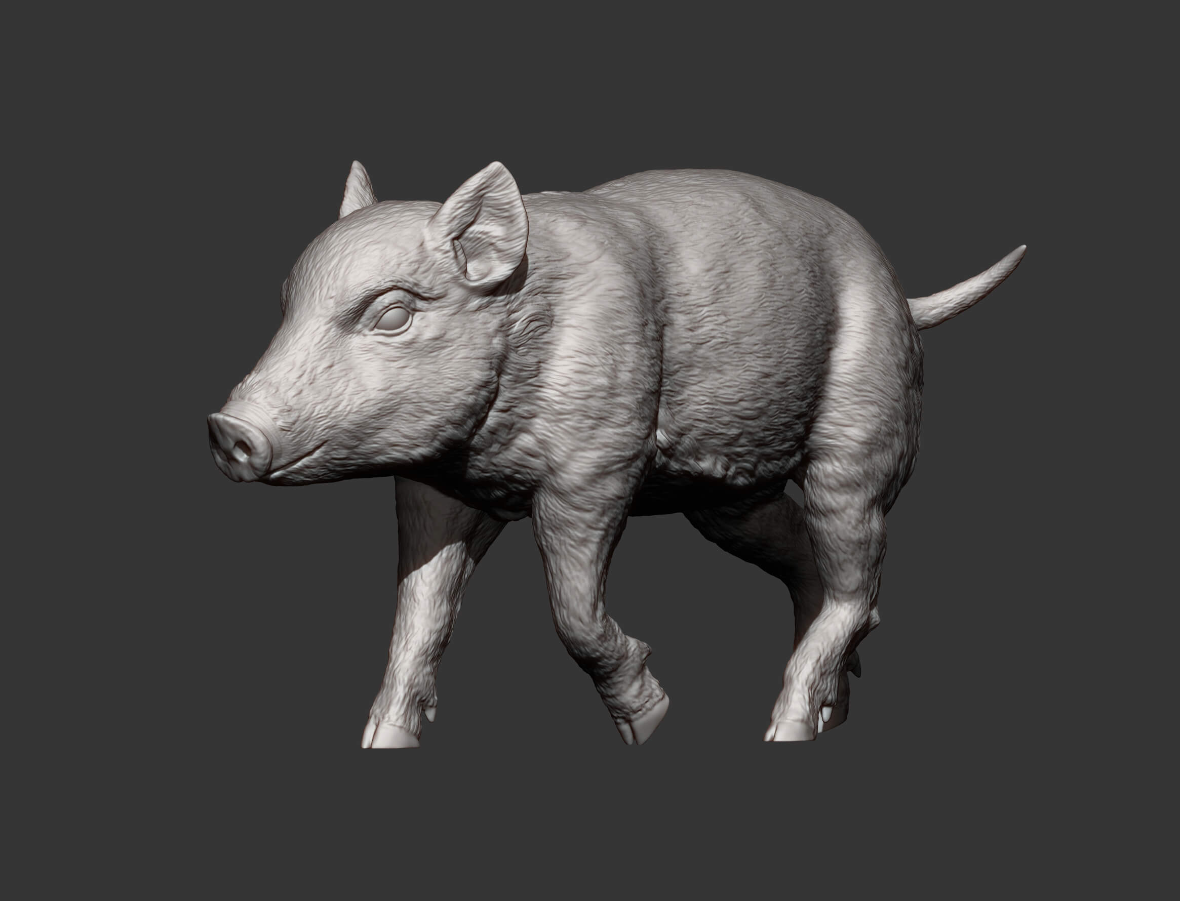 Small Wild Boar - 3D Model by Alexander3dart