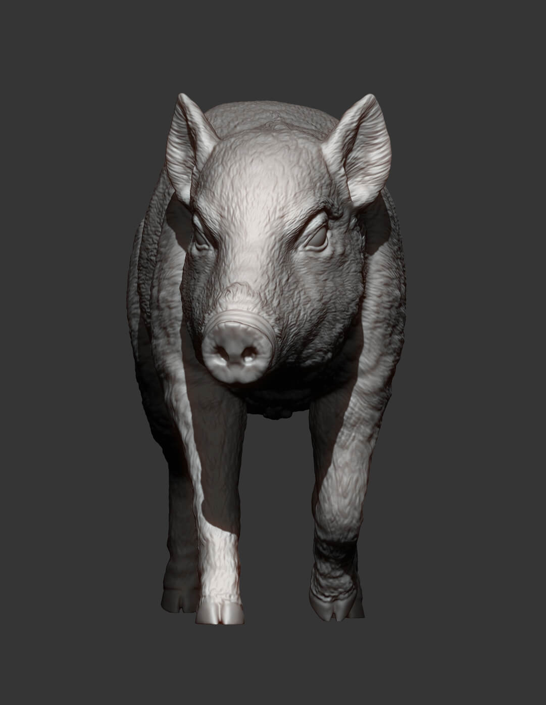 Small Wild Boar - 3D Model by Alexander3dart