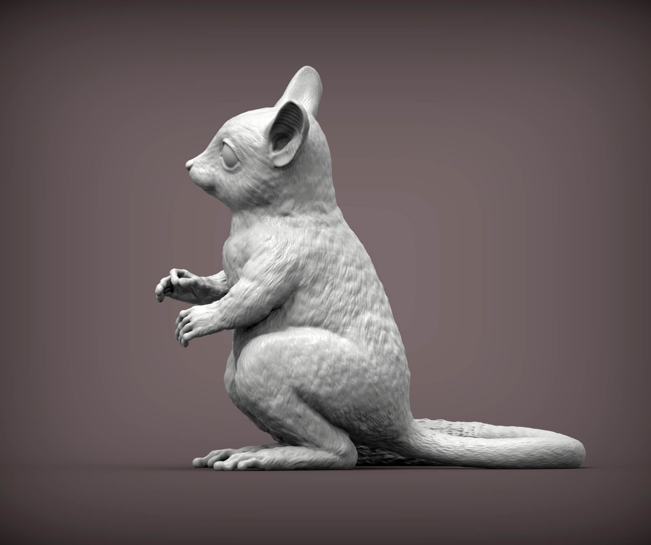 Smnigalsky Galago Bush Baby 3D Print Model by Alexander3dart