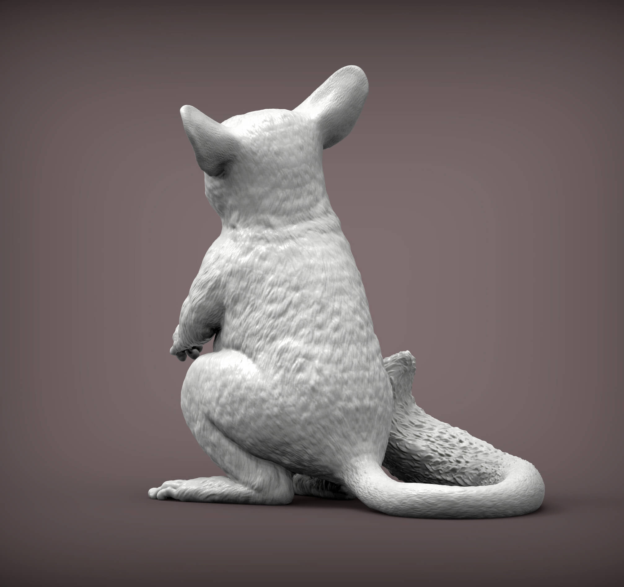 Smnigalsky Galago Bush Baby 3D Print Model by Alexander3dart