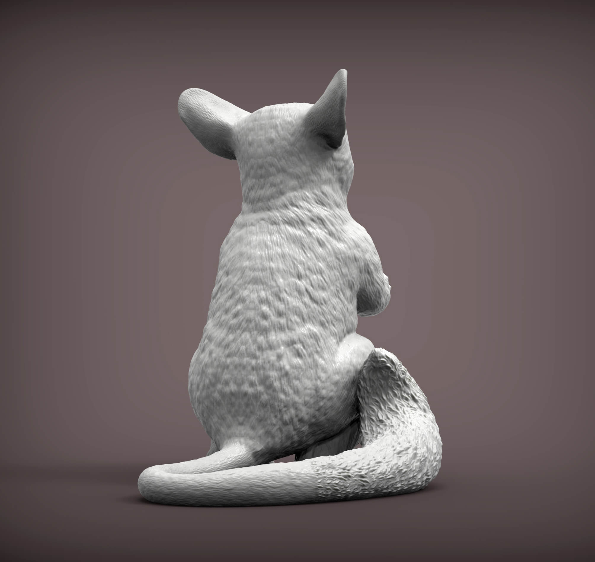 Smnigalsky Galago Bush Baby 3D Print Model by Alexander3dart