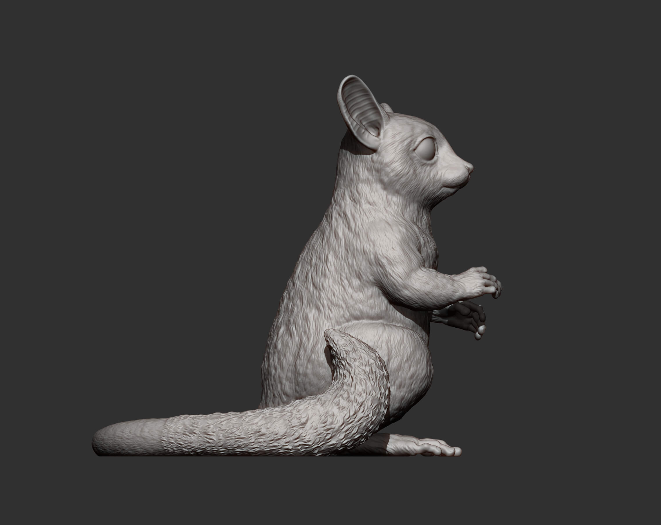Smnigalsky Galago Bush Baby 3D Print Model by Alexander3dart
