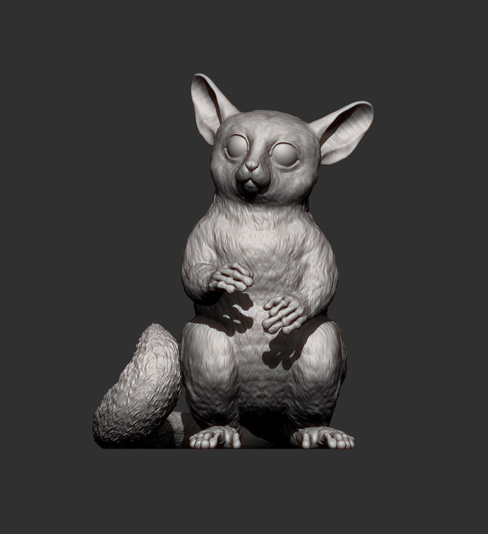 Smnigalsky Galago Bush Baby 3D Print Model by Alexander3dart