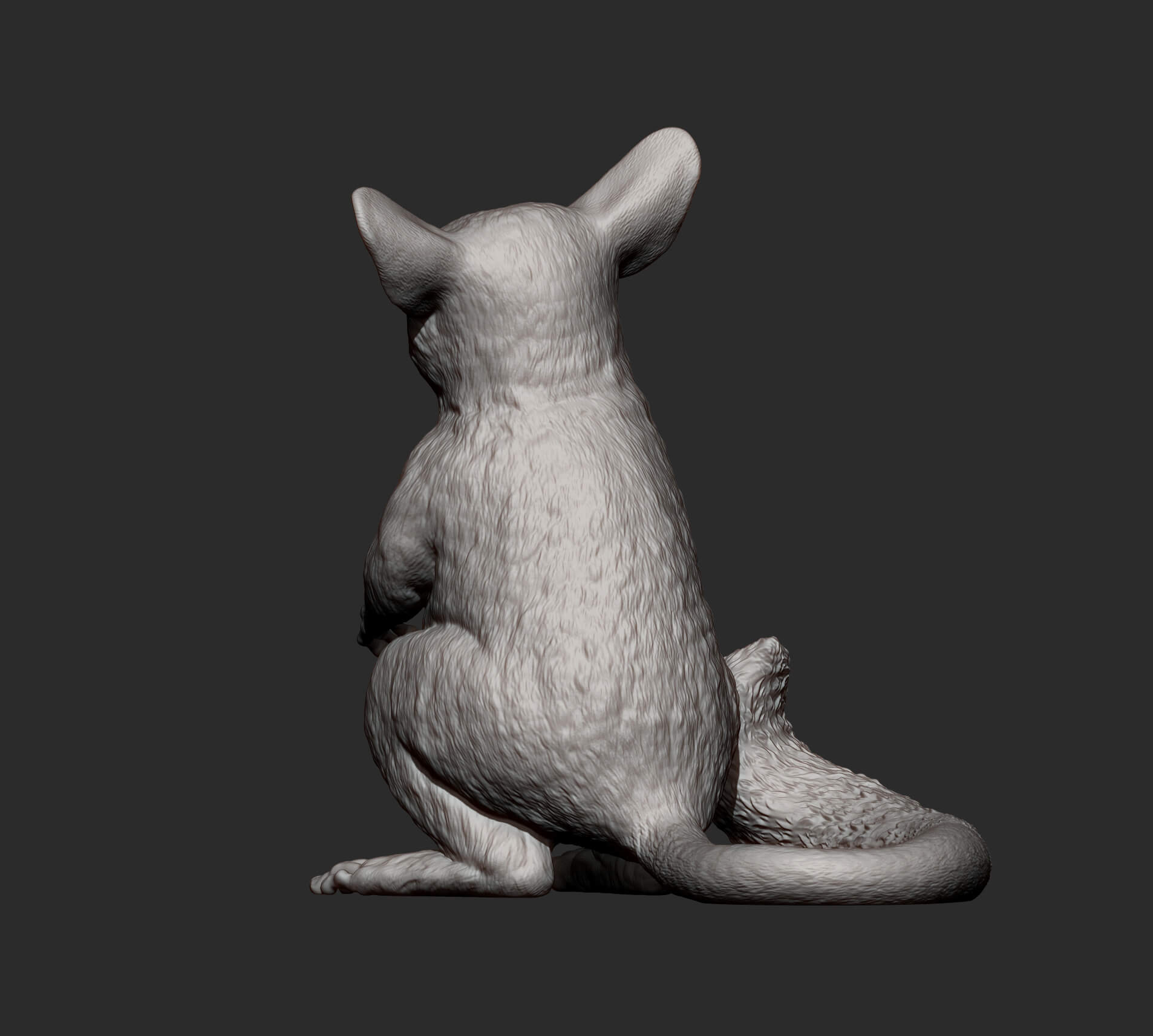 Smnigalsky Galago Bush Baby 3D Print Model by Alexander3dart