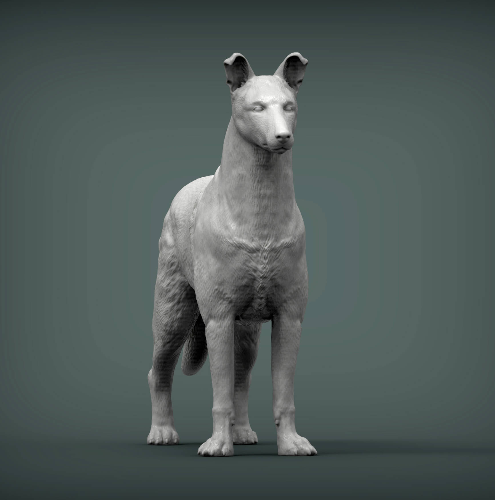 Smooth Coat Collie 3D Print Model by Alexander3dart