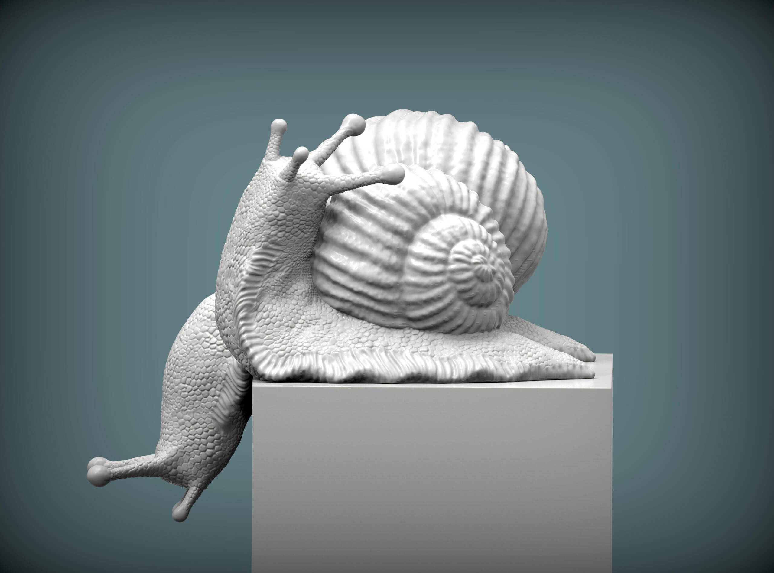 Snail Two Snails - 3D Model by Alexander3dart