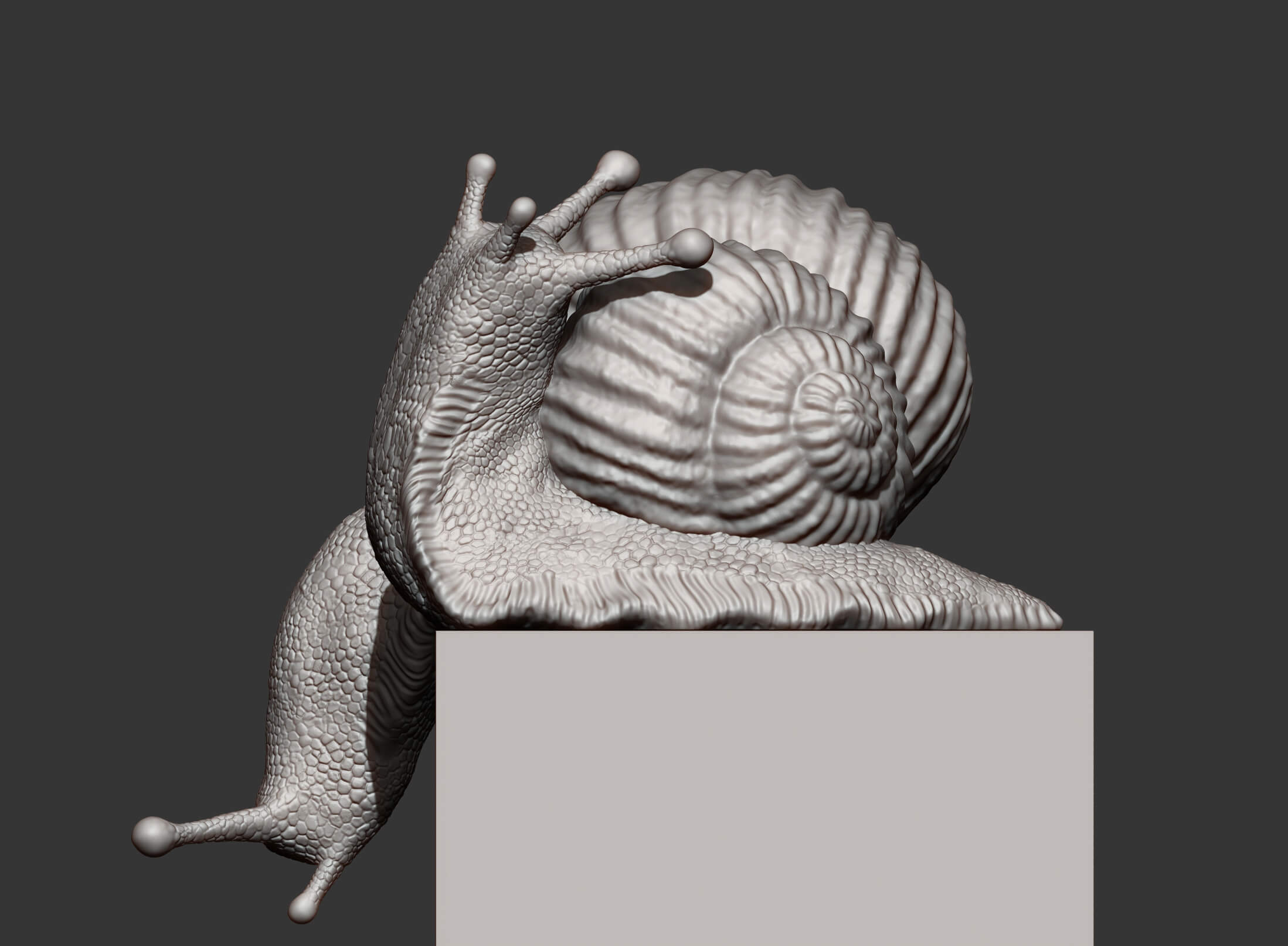 Snail Two Snails - 3D Model by Alexander3dart