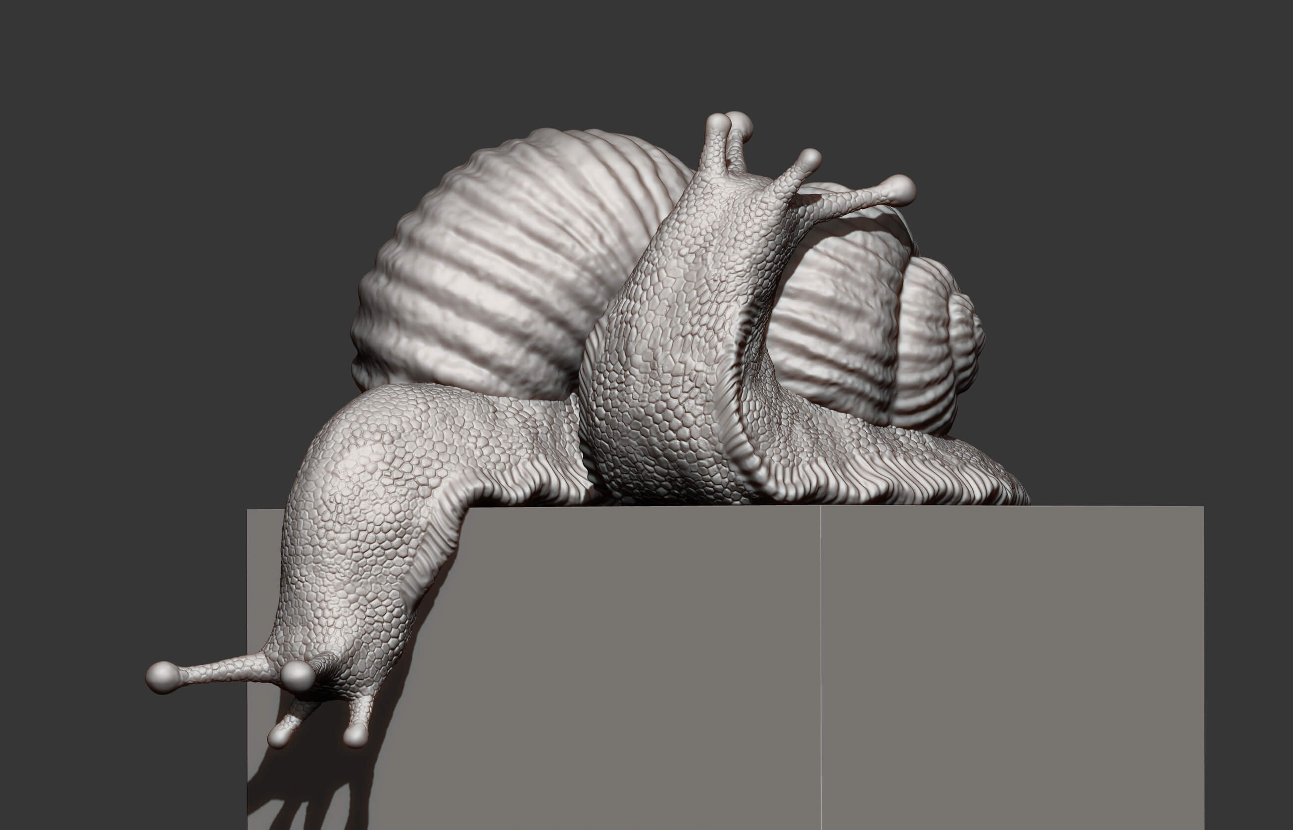 Snail Two Snails - 3D Model by Alexander3dart