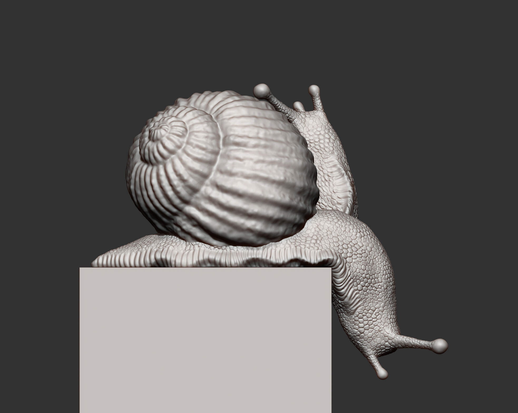 Snail Two Snails - 3D Model by Alexander3dart