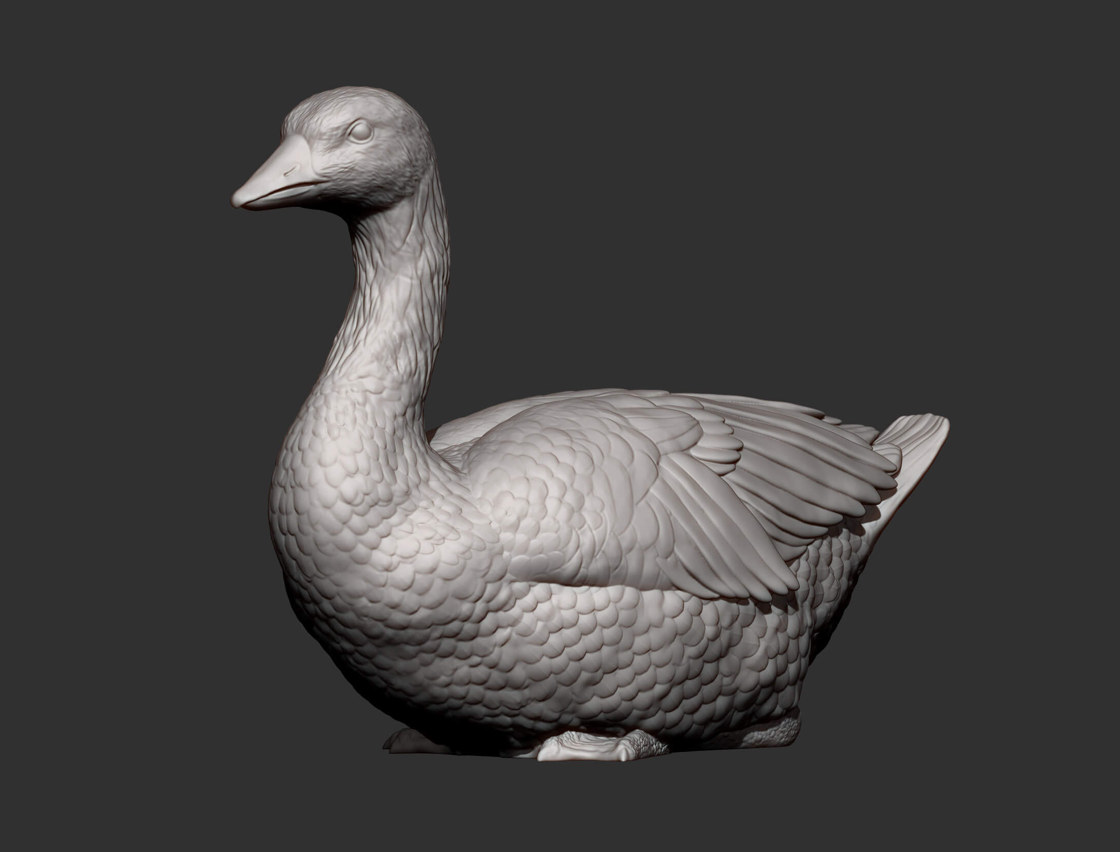Snow Goose 3D Print Model by Alexander3dart