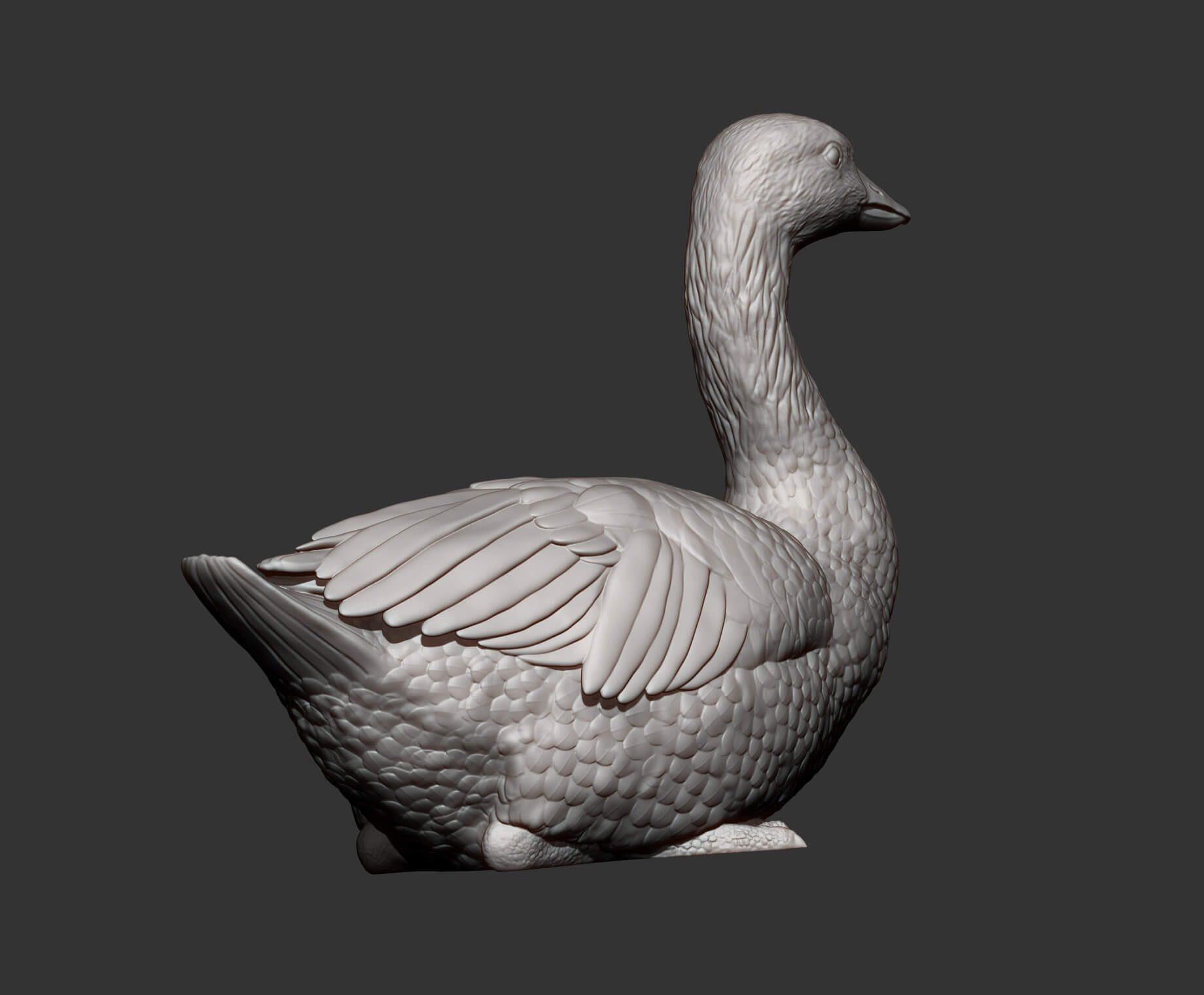 Snow Goose 3D Print Model by Alexander3dart